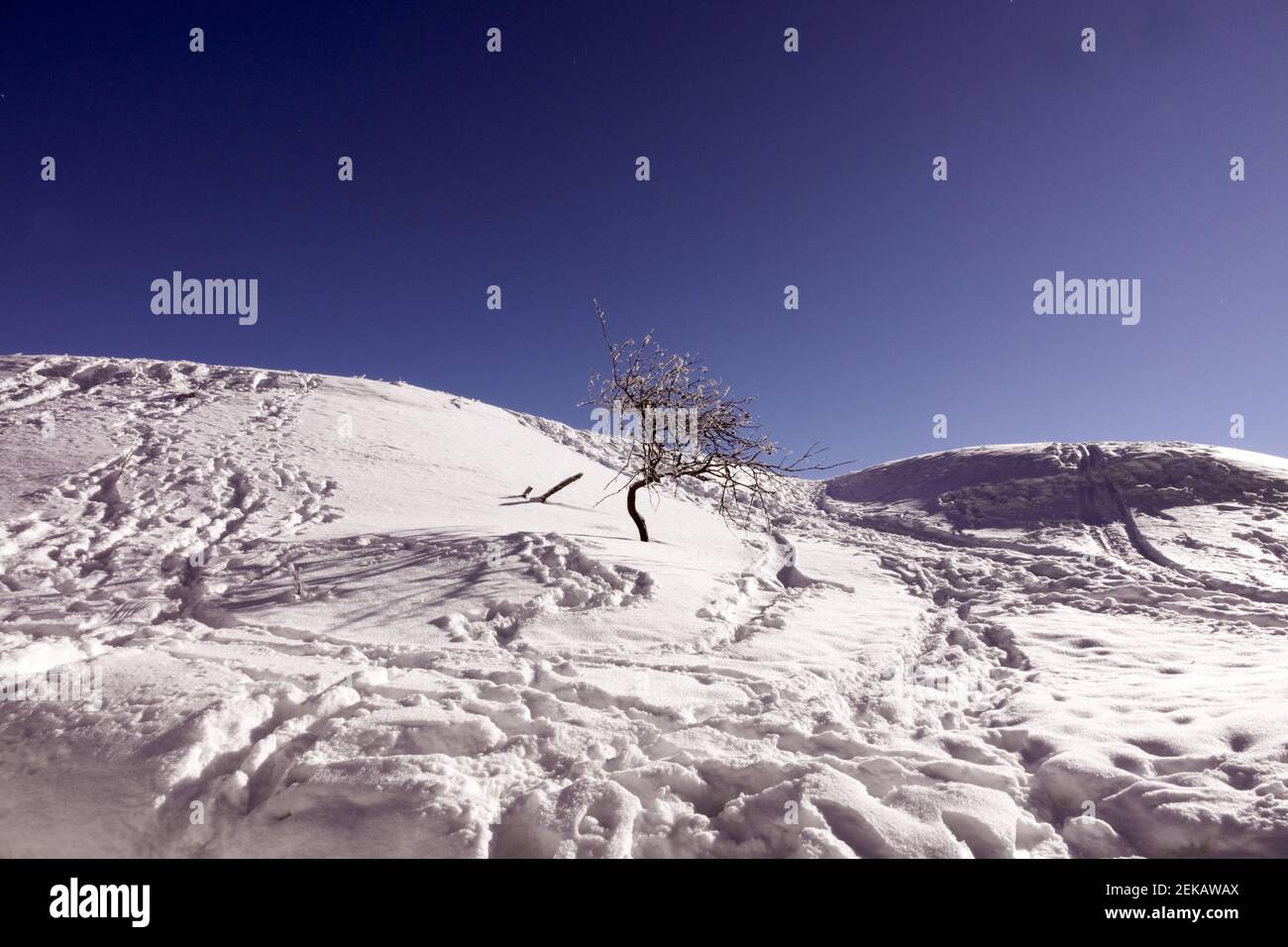 Snowdrift hi-res stock photography and images - Alamy