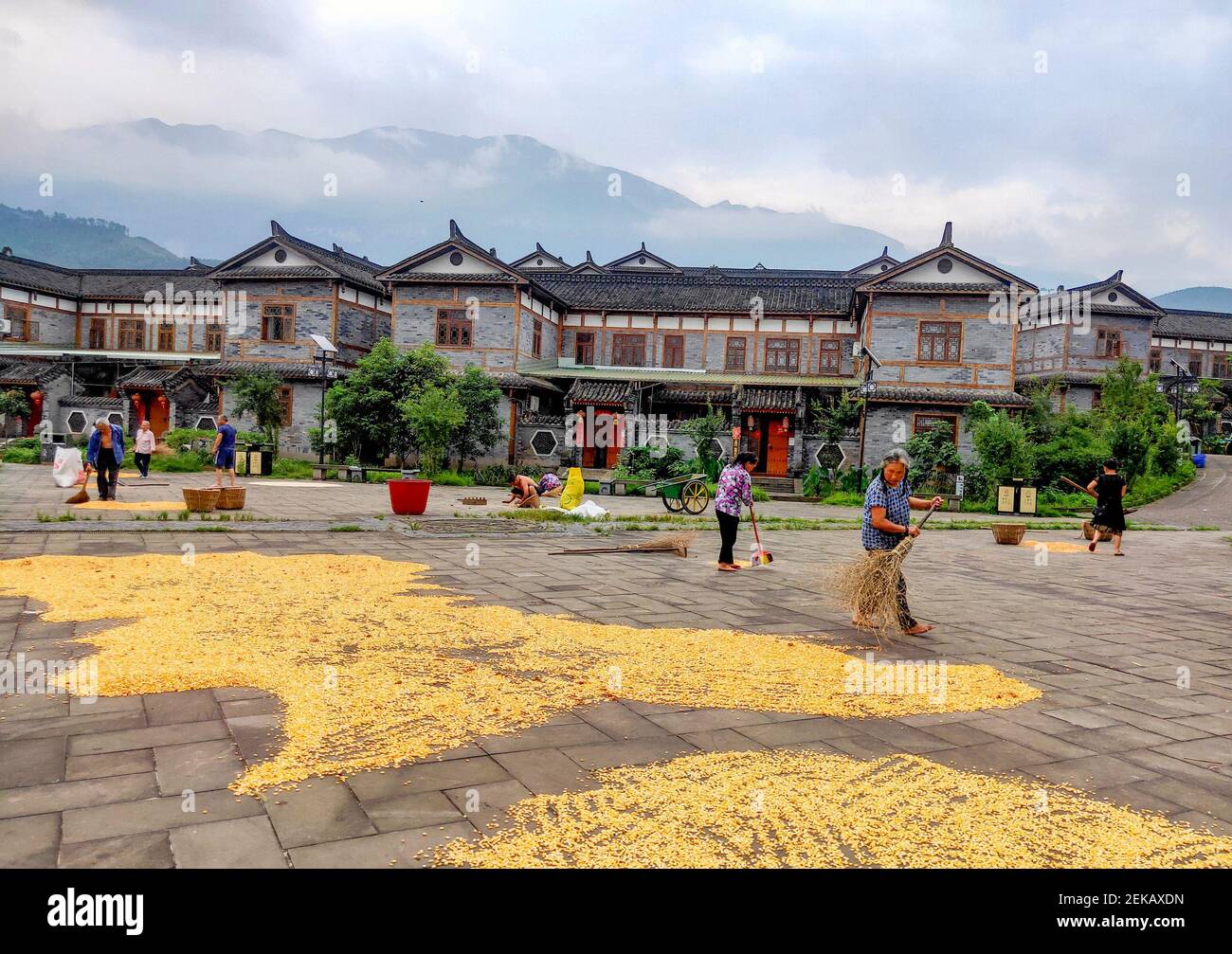 sichuanï¼ŒCHINA-Farmers in Guang 'an city, Sichuan Province, make full ...