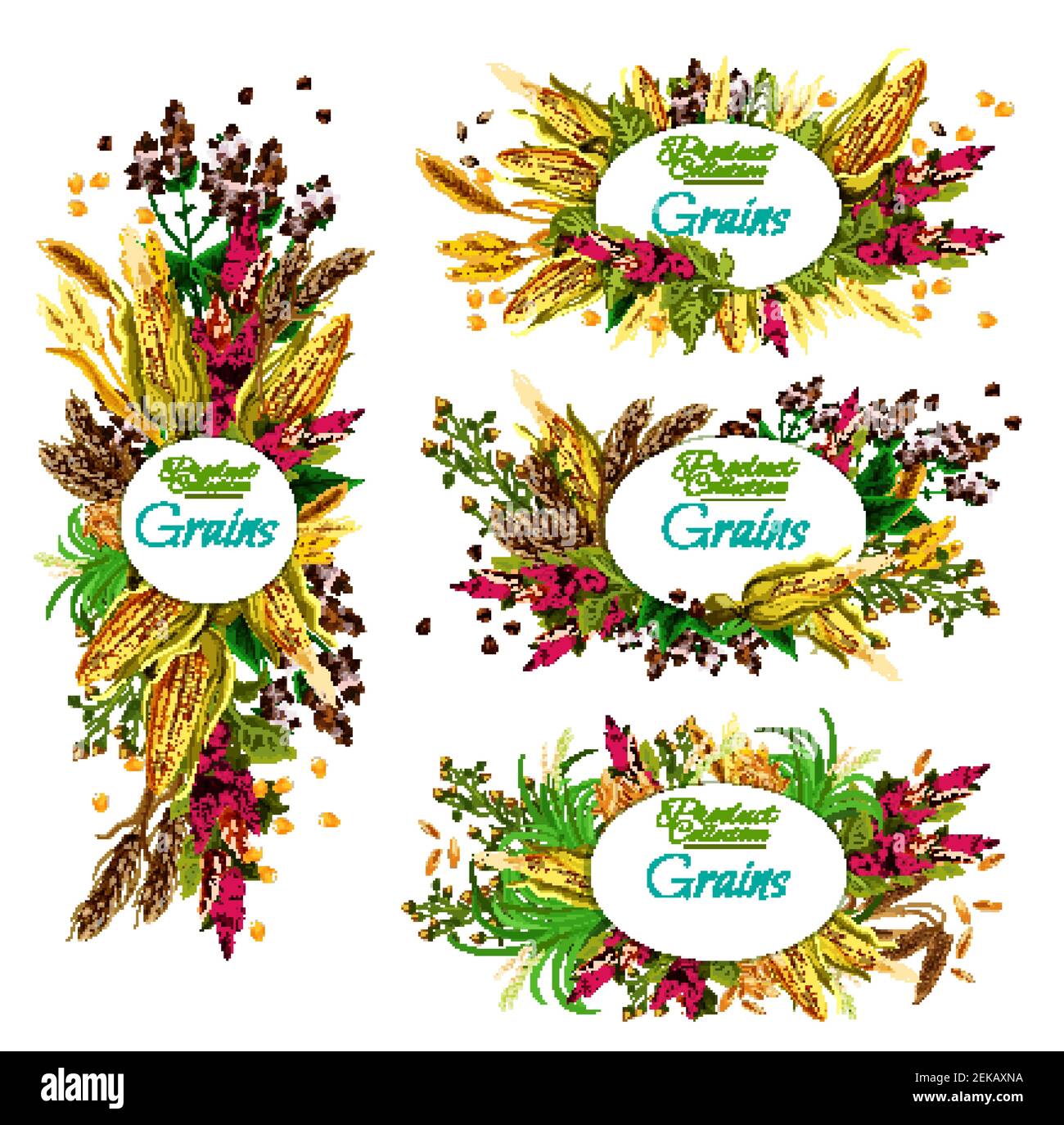Cereal grains of wheat, rye and buckwheat posters. Vector organic ...