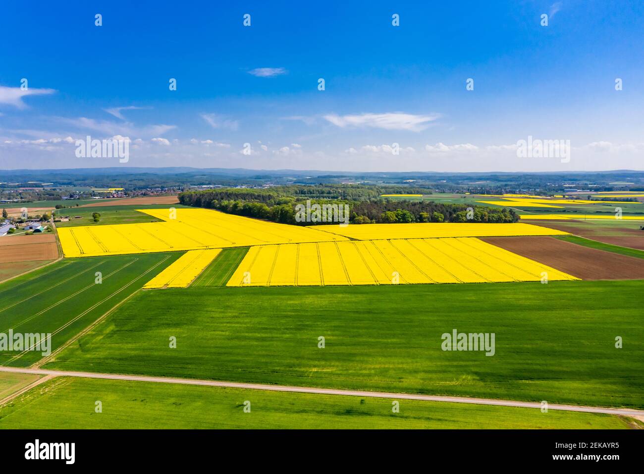 Germany, Hesse, Munzenberg, Helicopter view of green and yellow ...