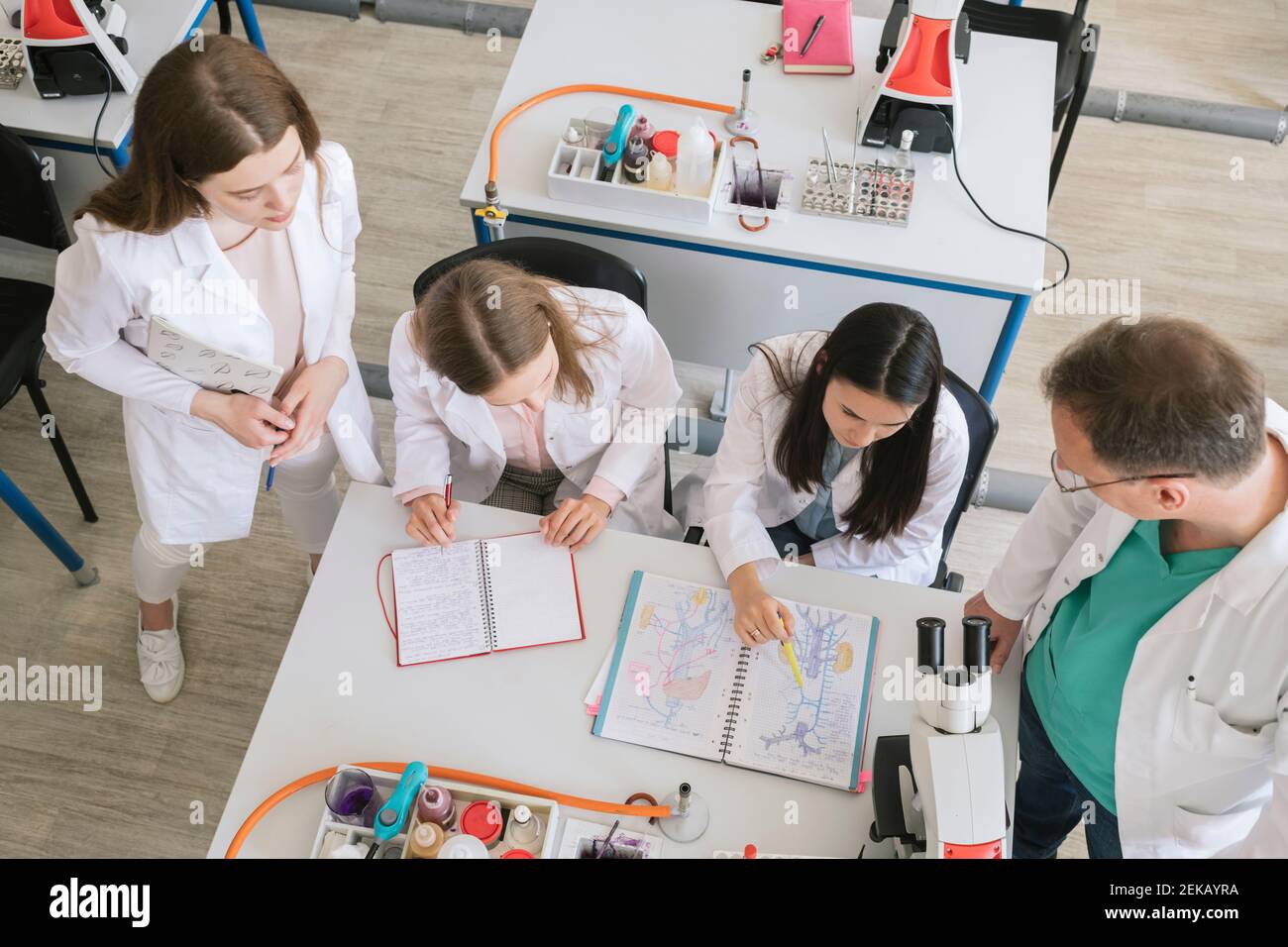 Professor discussing with students in science class Stock Photo - Alamy