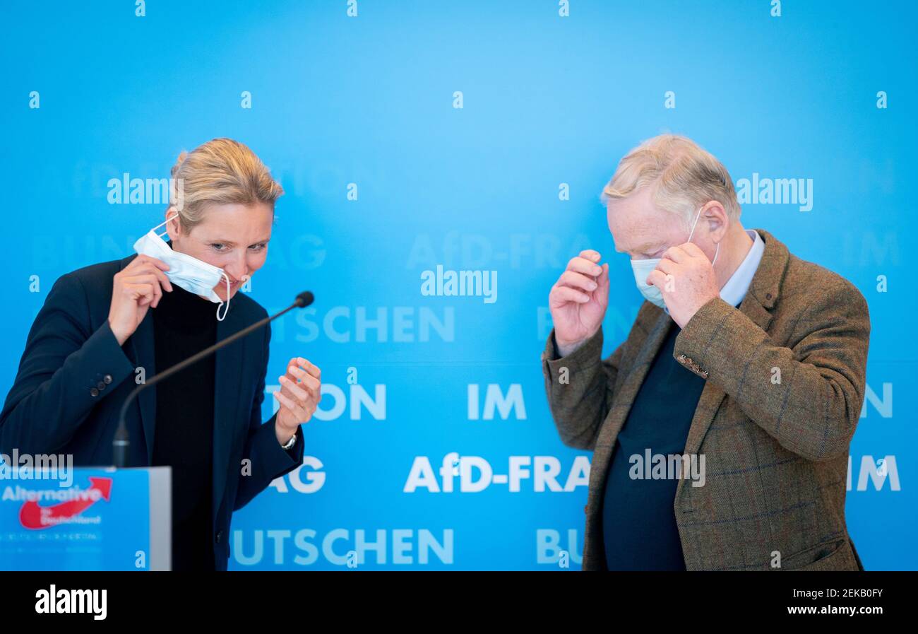 Berlin, Germany. 23rd Feb, 2021. Alice Weidel, leader of the AfD ...