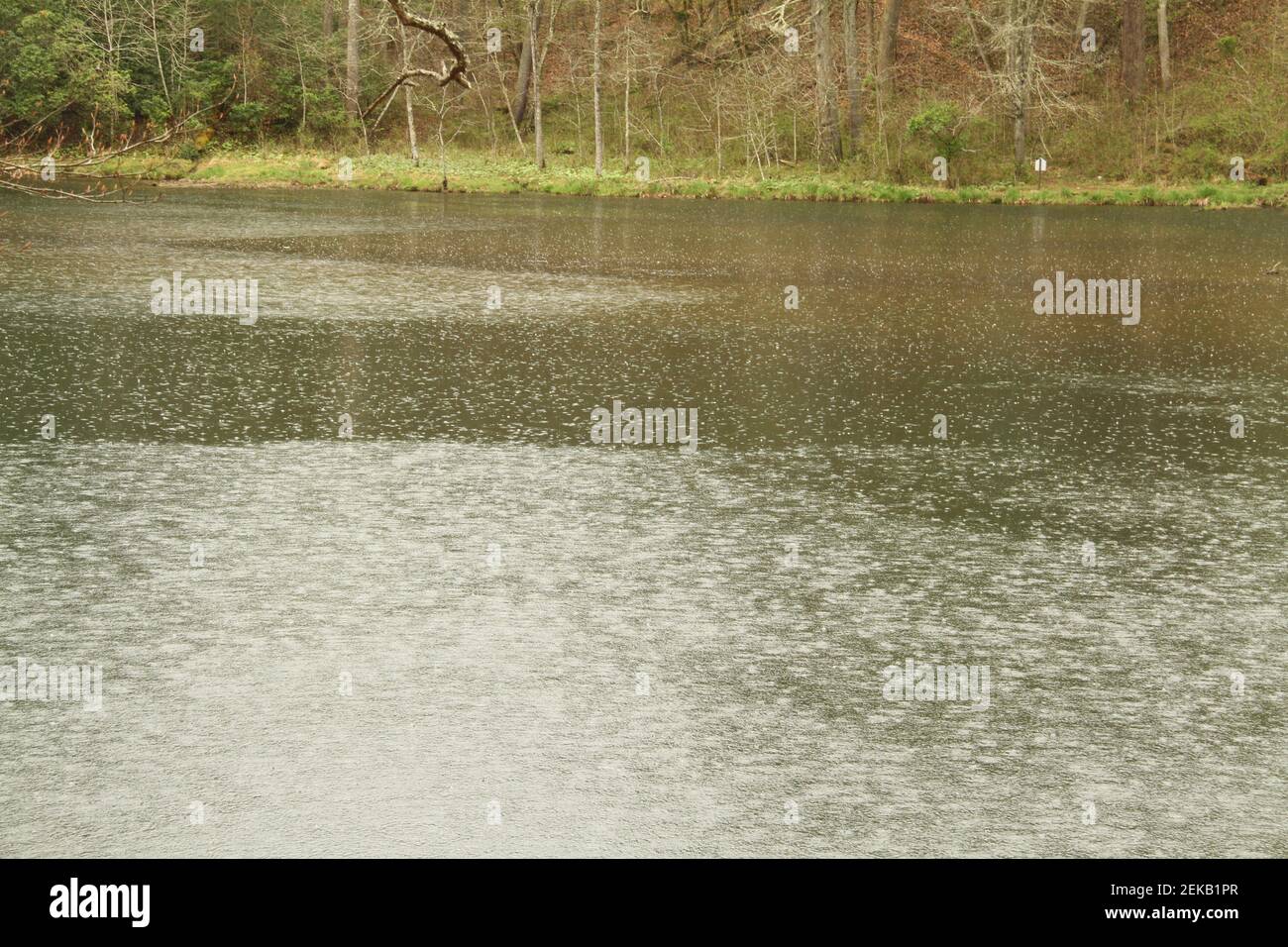 Rain falling over a river Stock Photo - Alamy