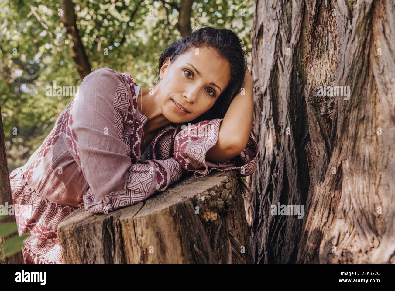 Mature park tree hi-res stock photography and images - Alamy