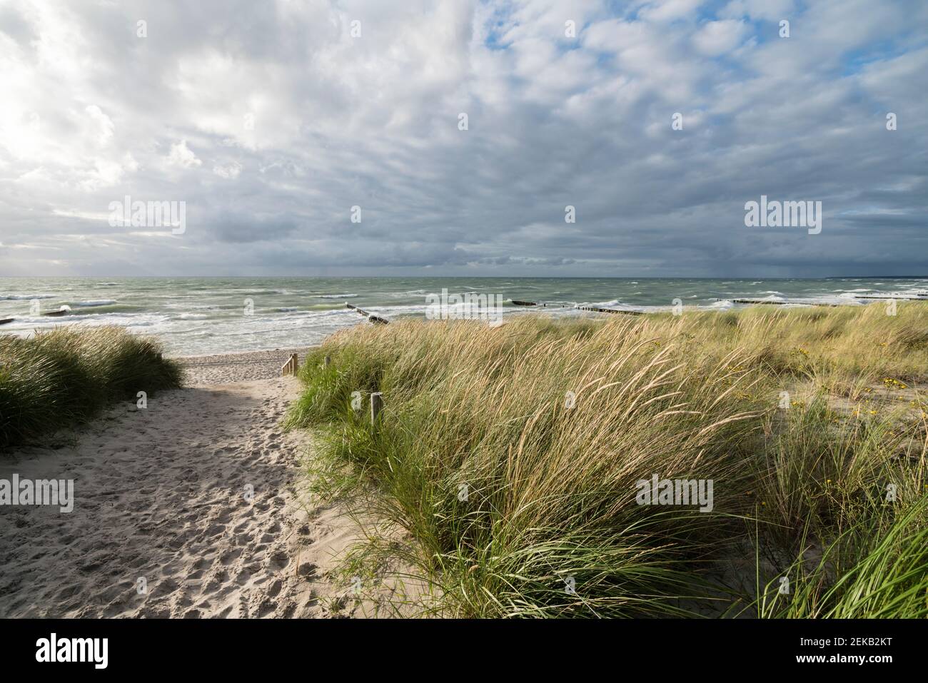 Cloudy sky over grassy coastal beach Stock Photo - Alamy