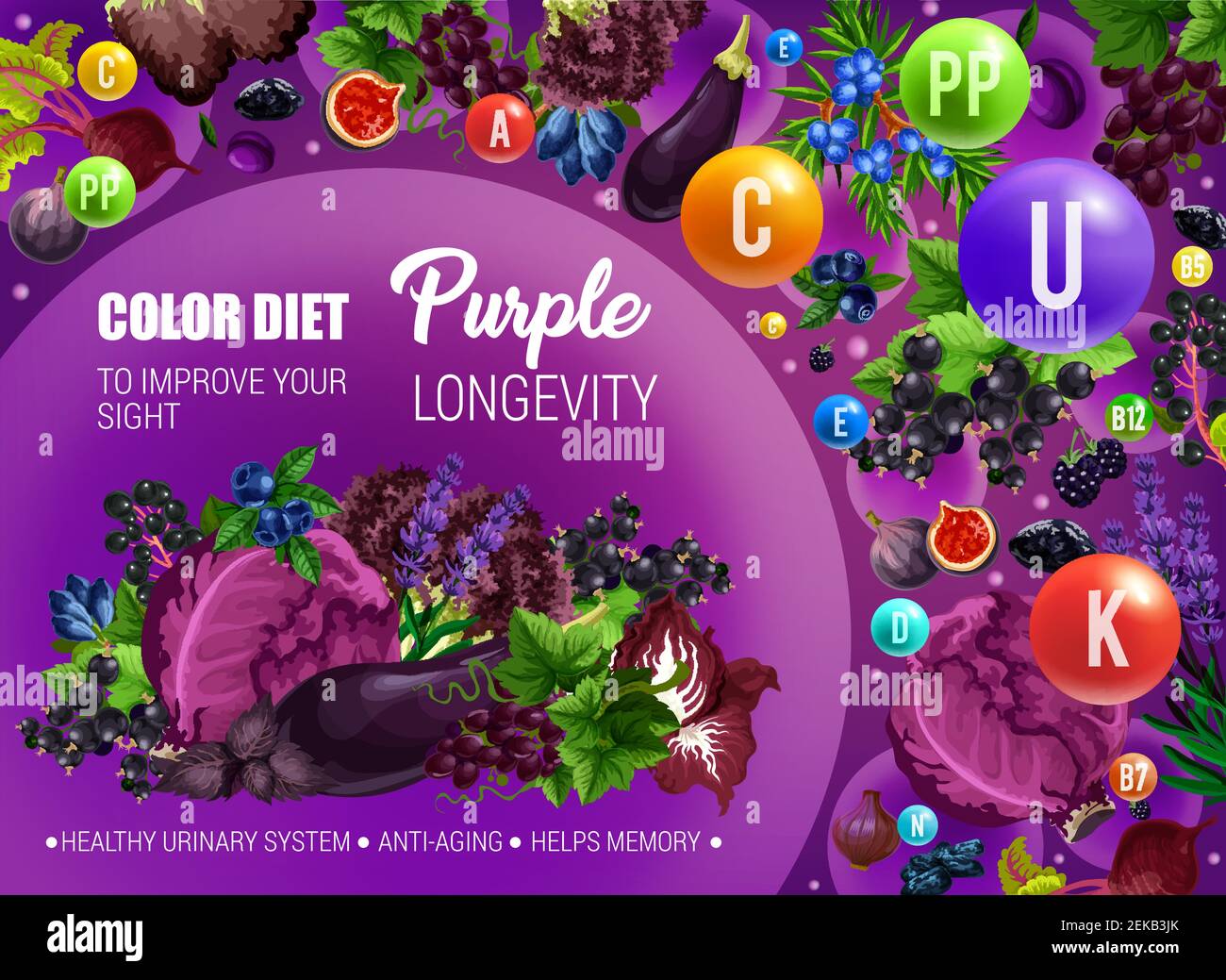 Dried juniper berries Stock Vector Images - Alamy