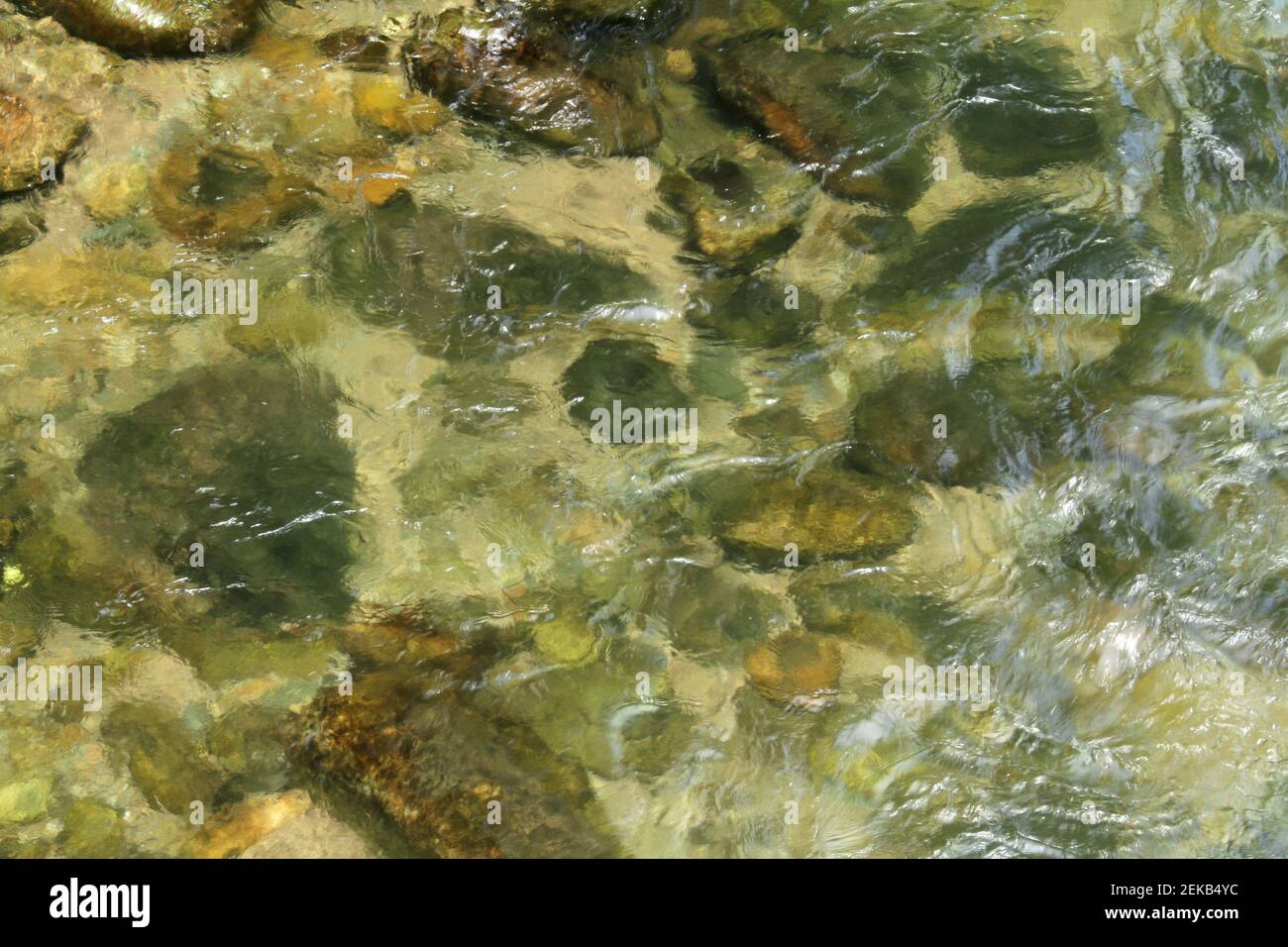 Clear river water Stock Photo - Alamy