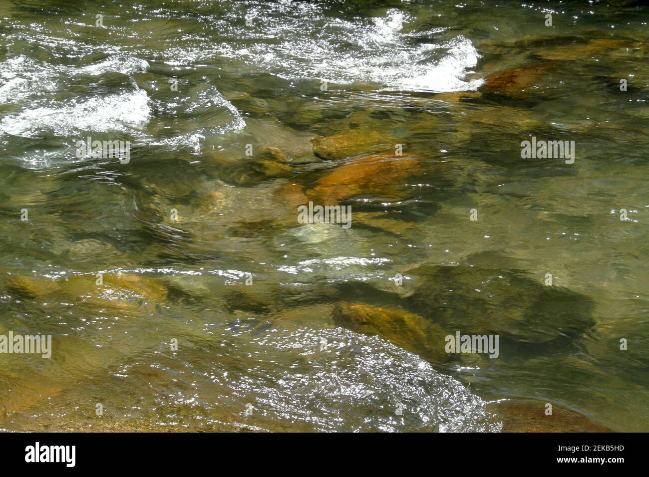 Clear river water Stock Photo - Alamy