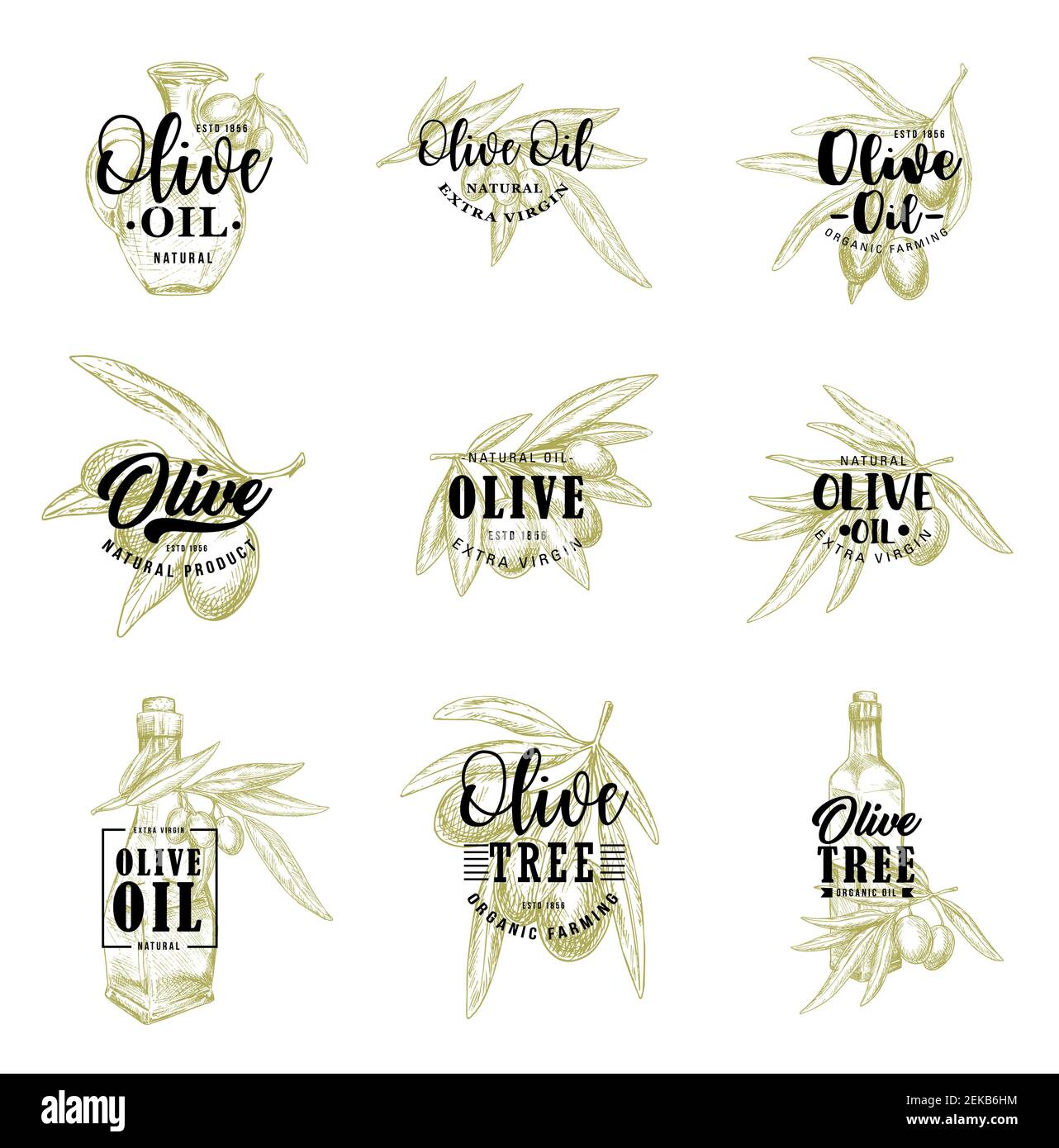 Olive sketch lettering, olive oil or pickled marinades package and ...