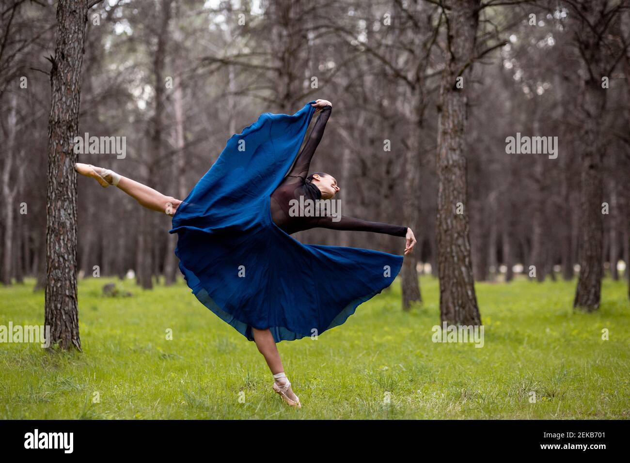 Young professional ballerina in hi-res stock photography and images - Alamy