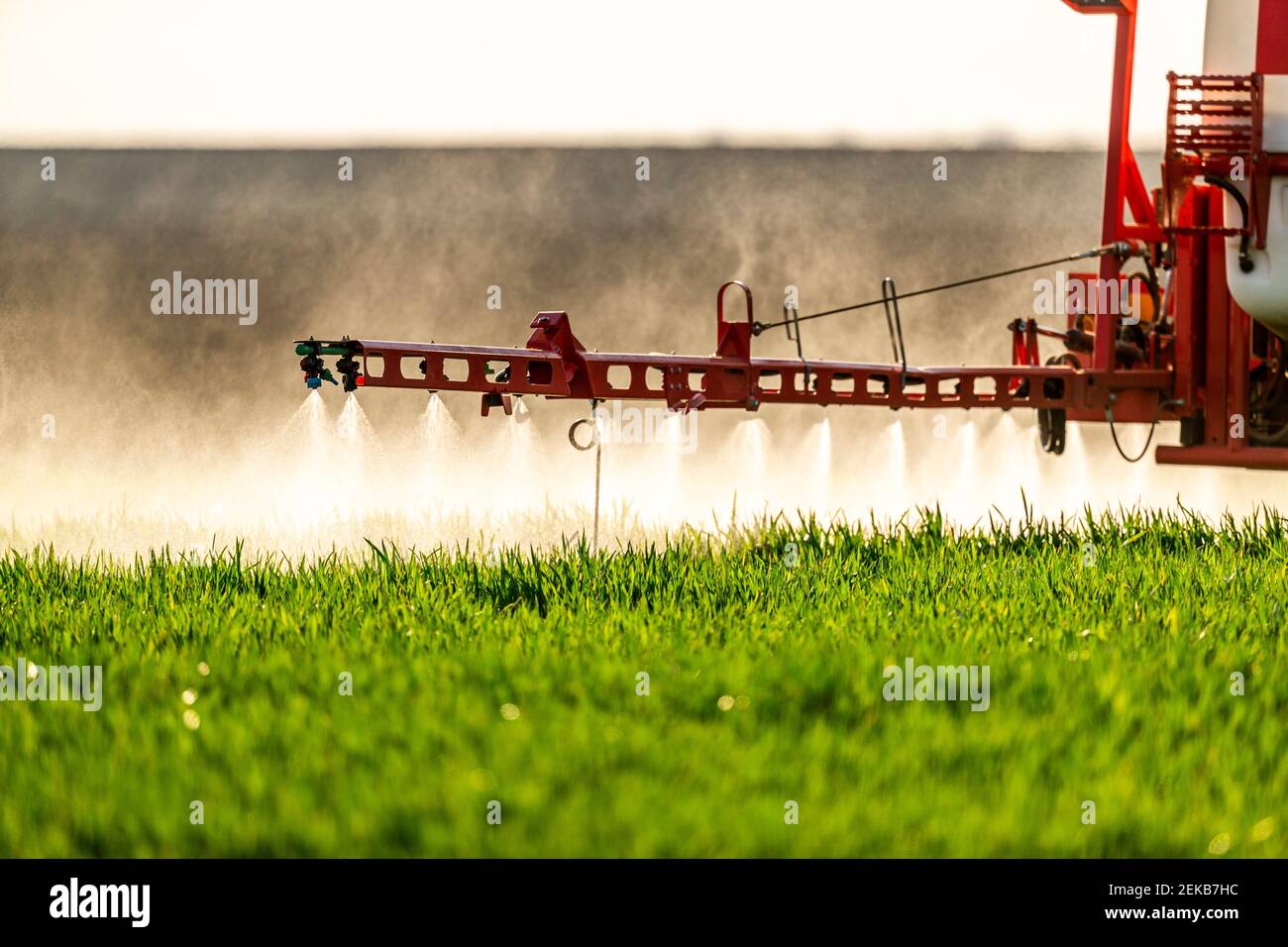 Agriculture growth farm rural scene crop transportation hi-res stock ...