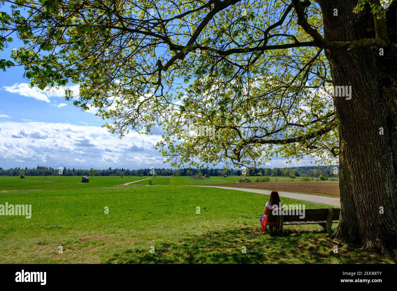 Growing under tree hi-res stock photography and images - Alamy