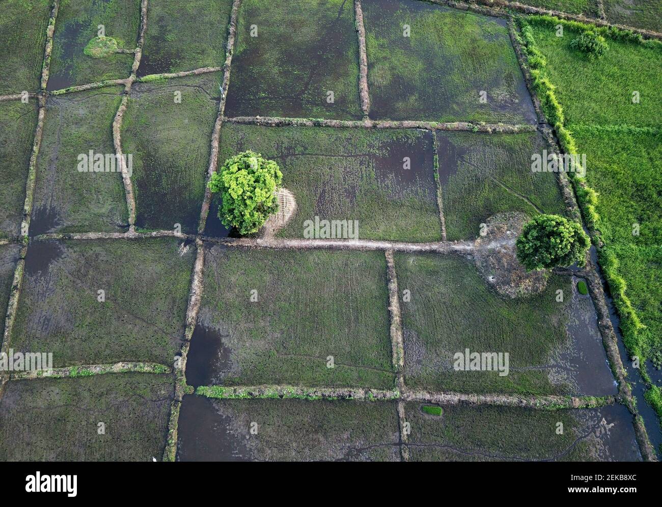 Ivory coast landscape hi-res stock photography and images - Alamy