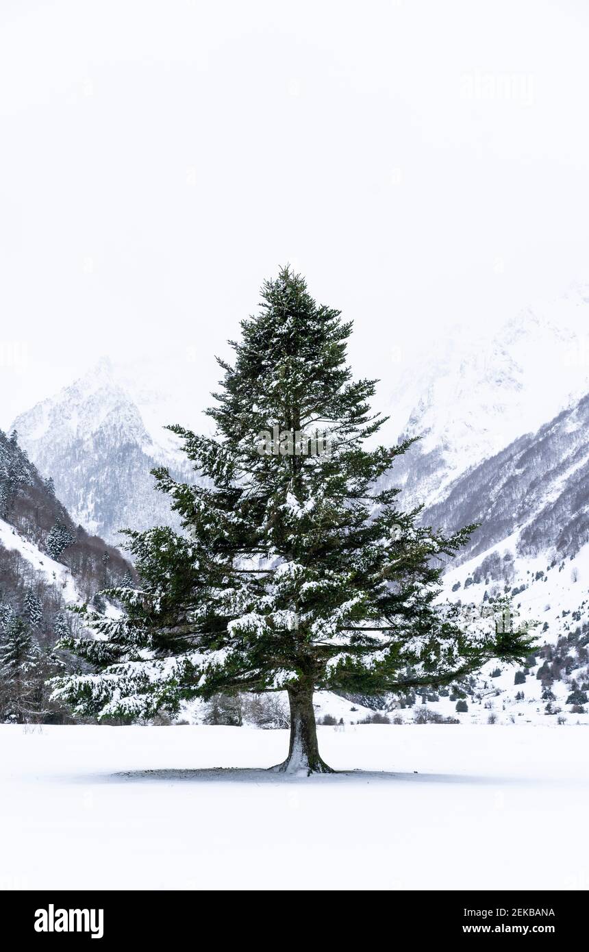 Tree covered valley hi-res stock photography and images - Alamy