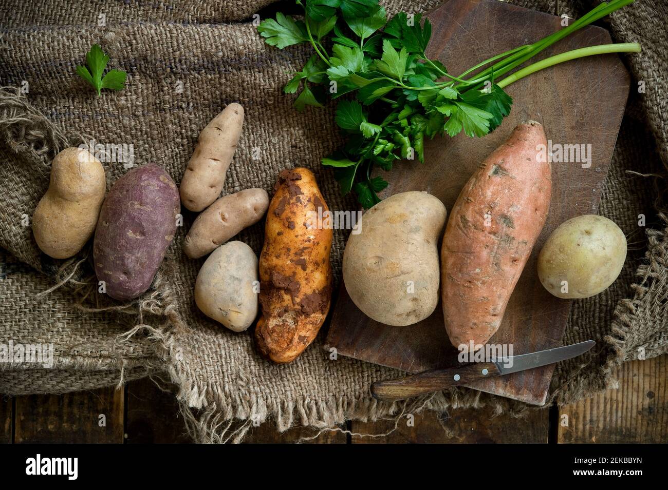 Different types of potatoes: Glorietta, purple sweet potato, Agria ...