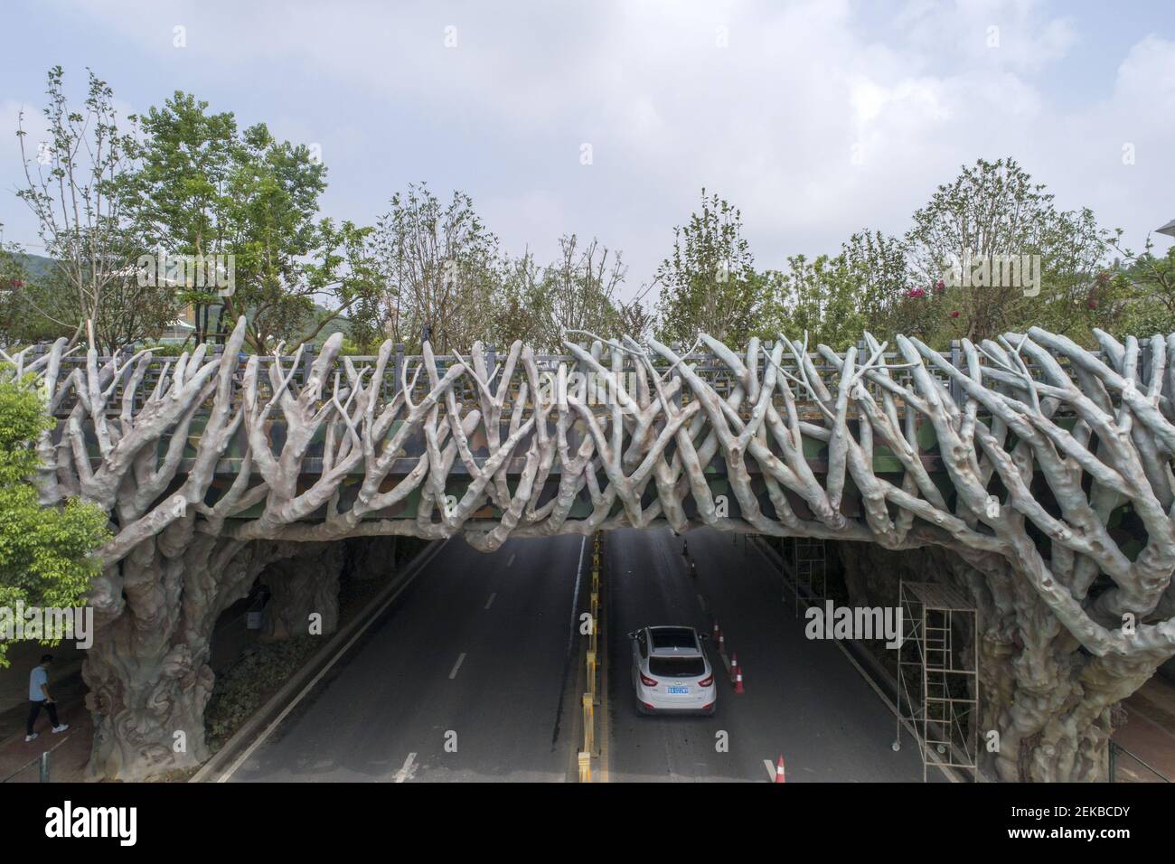 Aerial view of a tree-style overpass in Xinagyang city, north China's ...