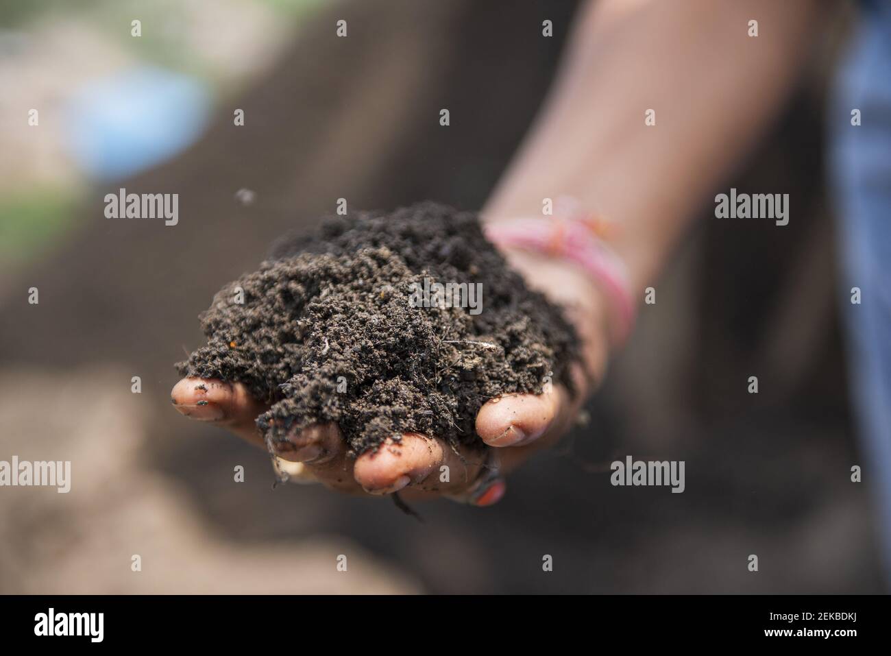 A hand of a person holding soil with no foul smell, segregated from ...