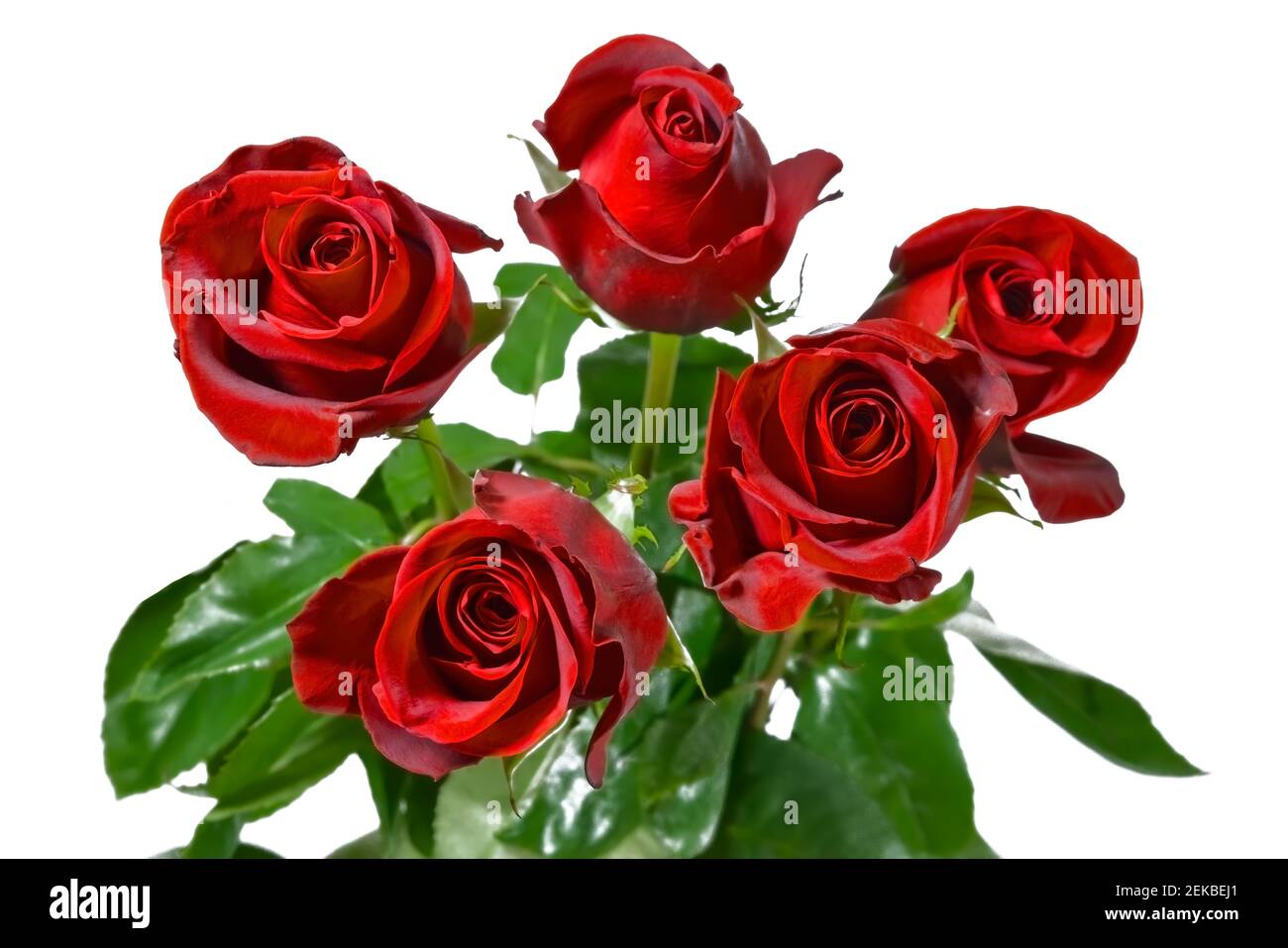 Bouquet of five red roses isolate on a white background. Roses bouquet ...