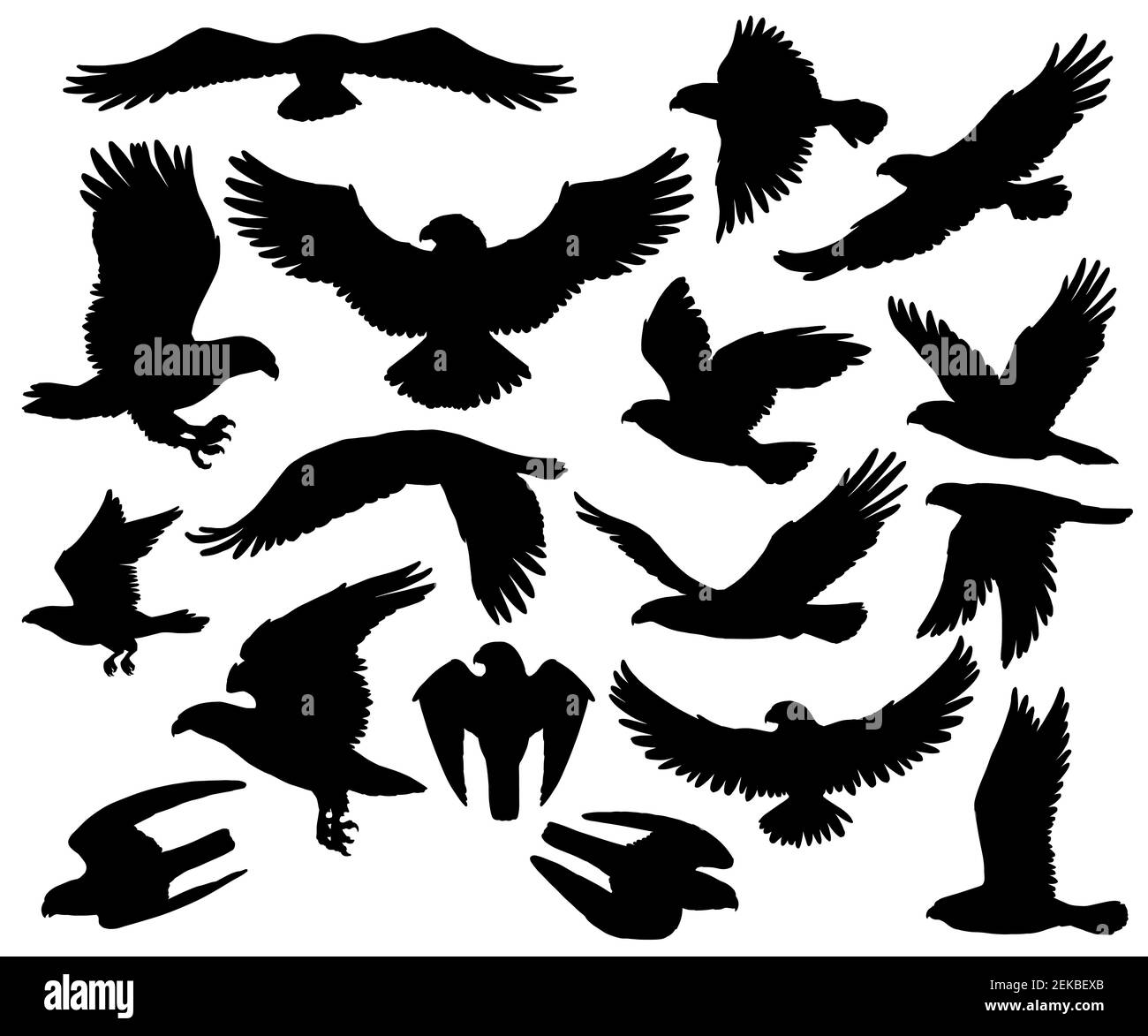 Hawks as symbols Stock Vector Images - Alamy
