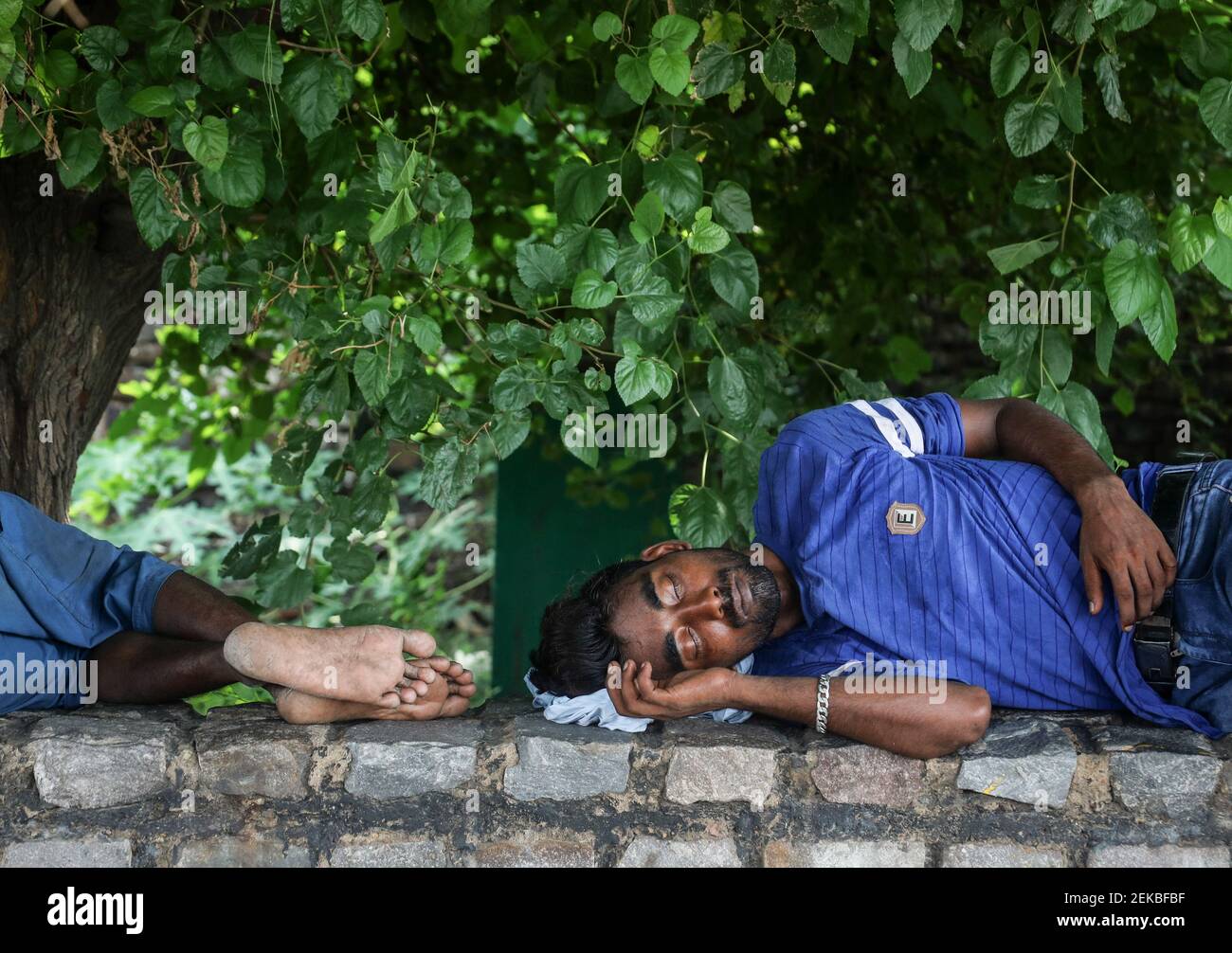 A worker takes a short nap on a footpath under a tree shade during a ...