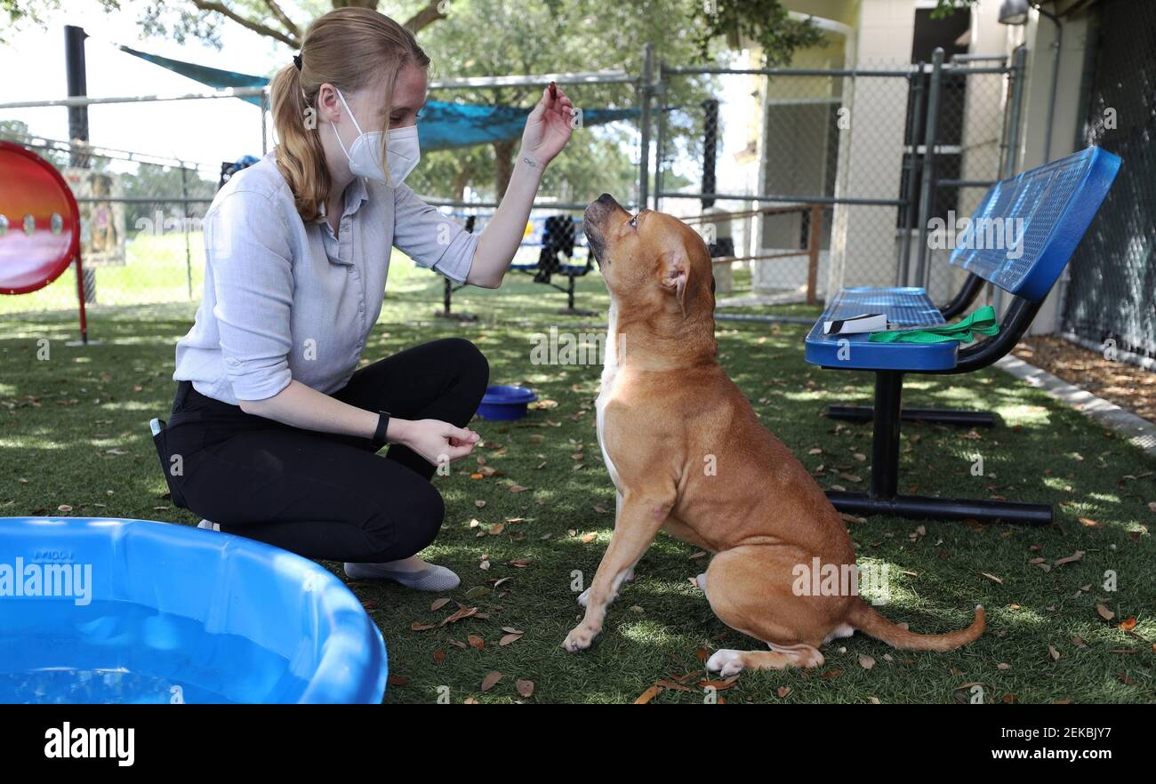 Diane Summers, Orange County Animal Services manager, gives Reebok a ...