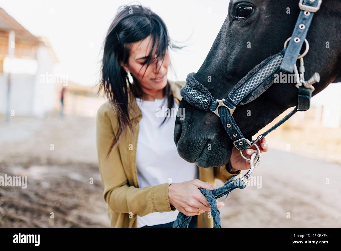Horse bridle hi-res stock photography and images - Alamy