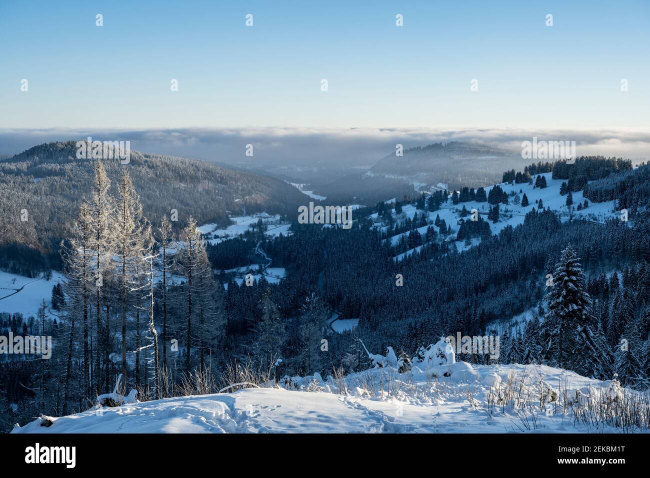 Black Forest range in winter, Germany Stock Photo - Alamy
