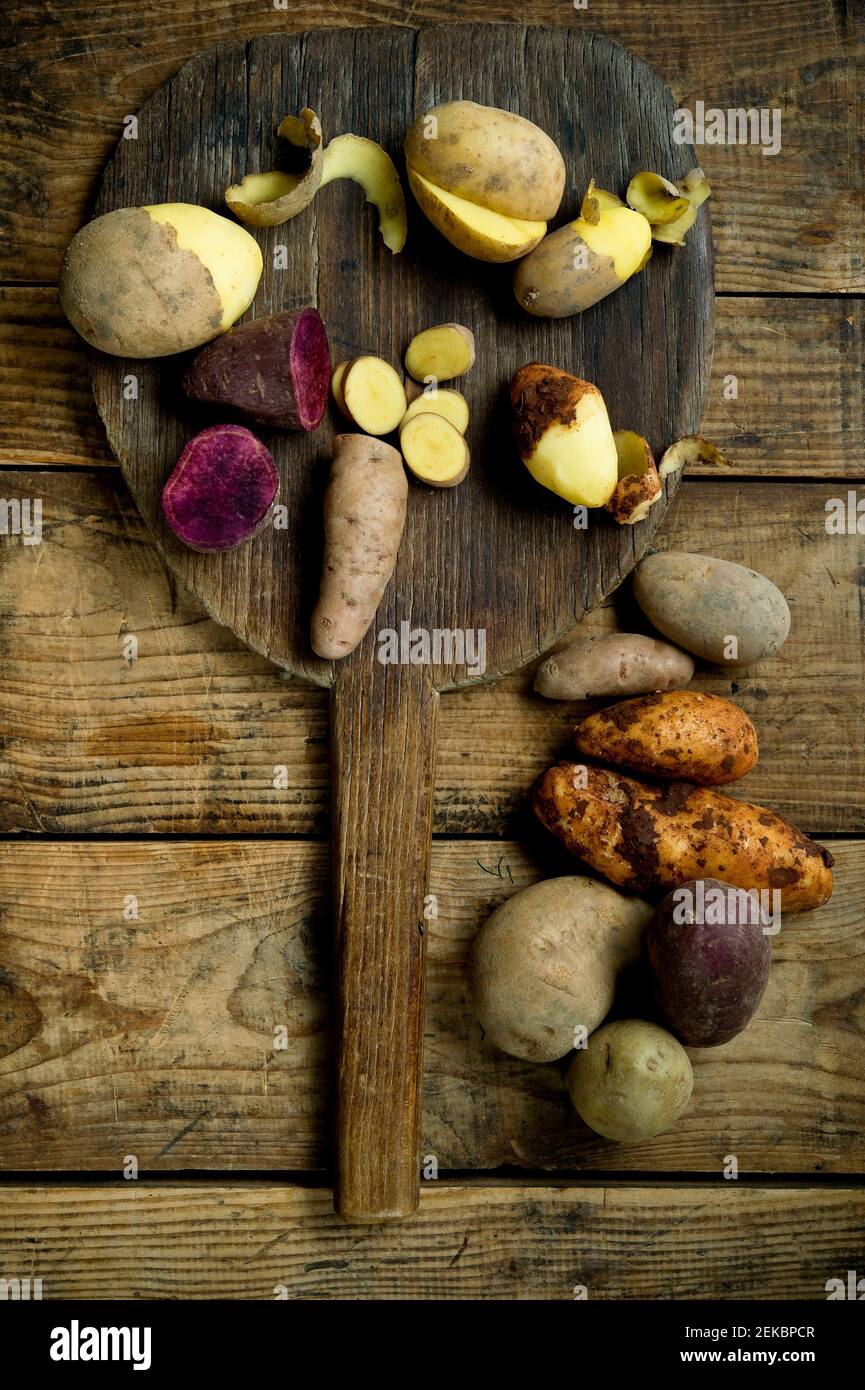 Agria potato hi-res stock photography and images - Alamy