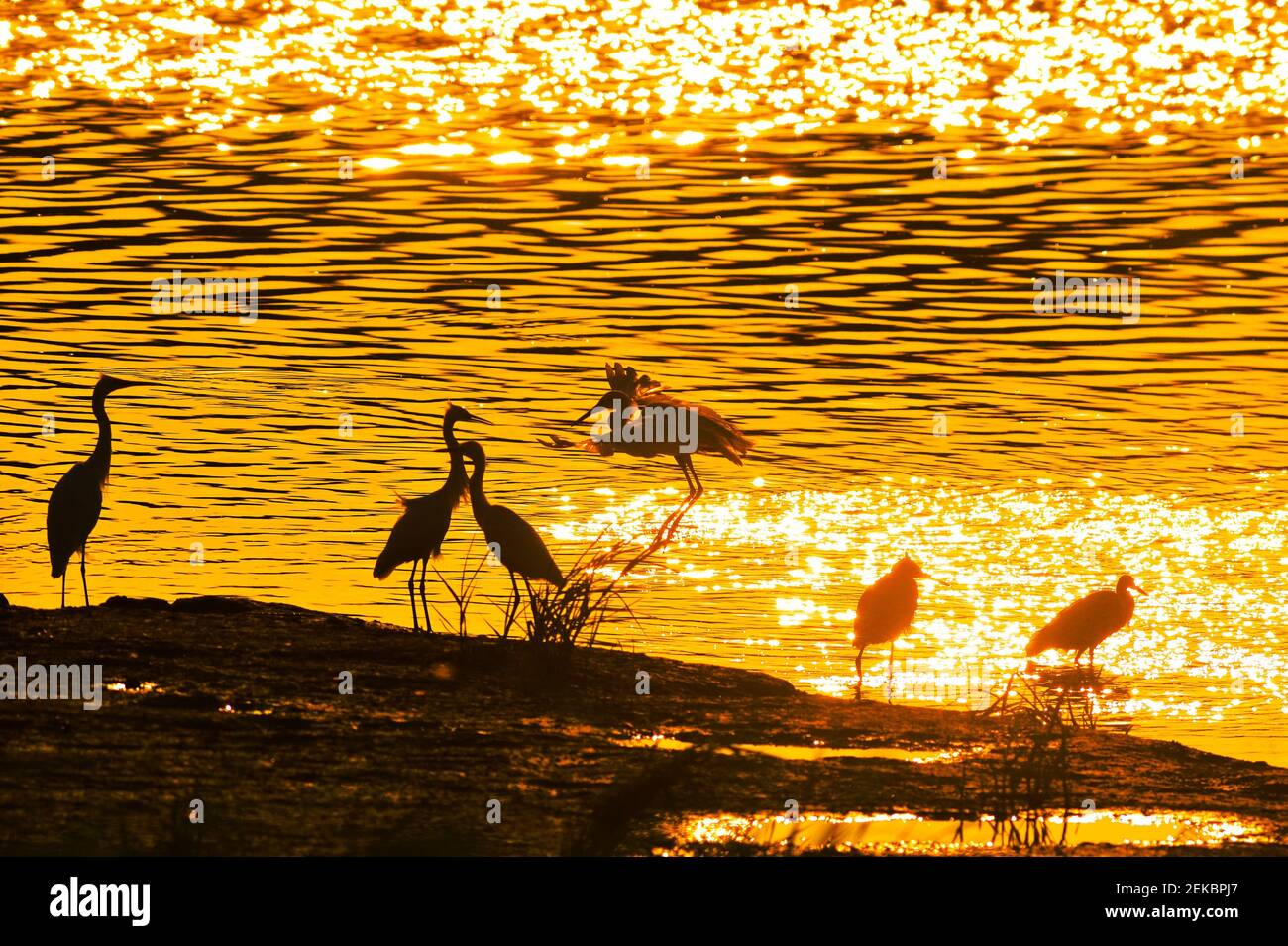 Shandongï¼ŒCHINA-On July 27, 2020, the ink River in Chengyang District ...