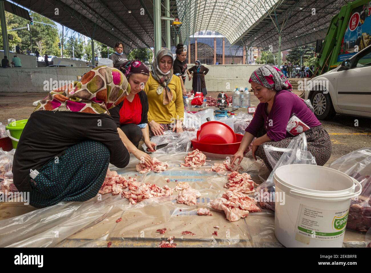 Muslims slaughters a sheep during Eid al-Adha celebrations. on July 31 ...