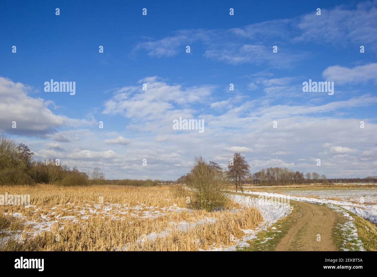 Friesche hi-res stock photography and images - Alamy