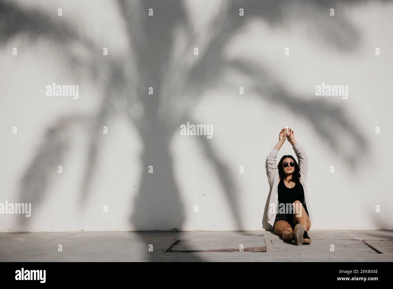 White wall and plant shadow hi-res stock photography and images - Alamy