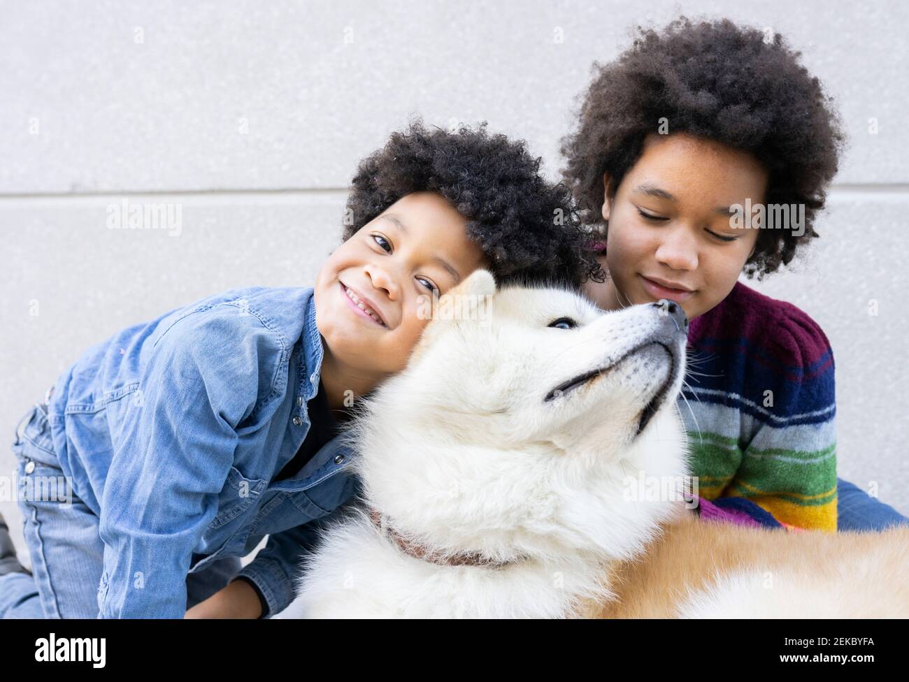 Can You Mate A Brother And Sister Dog