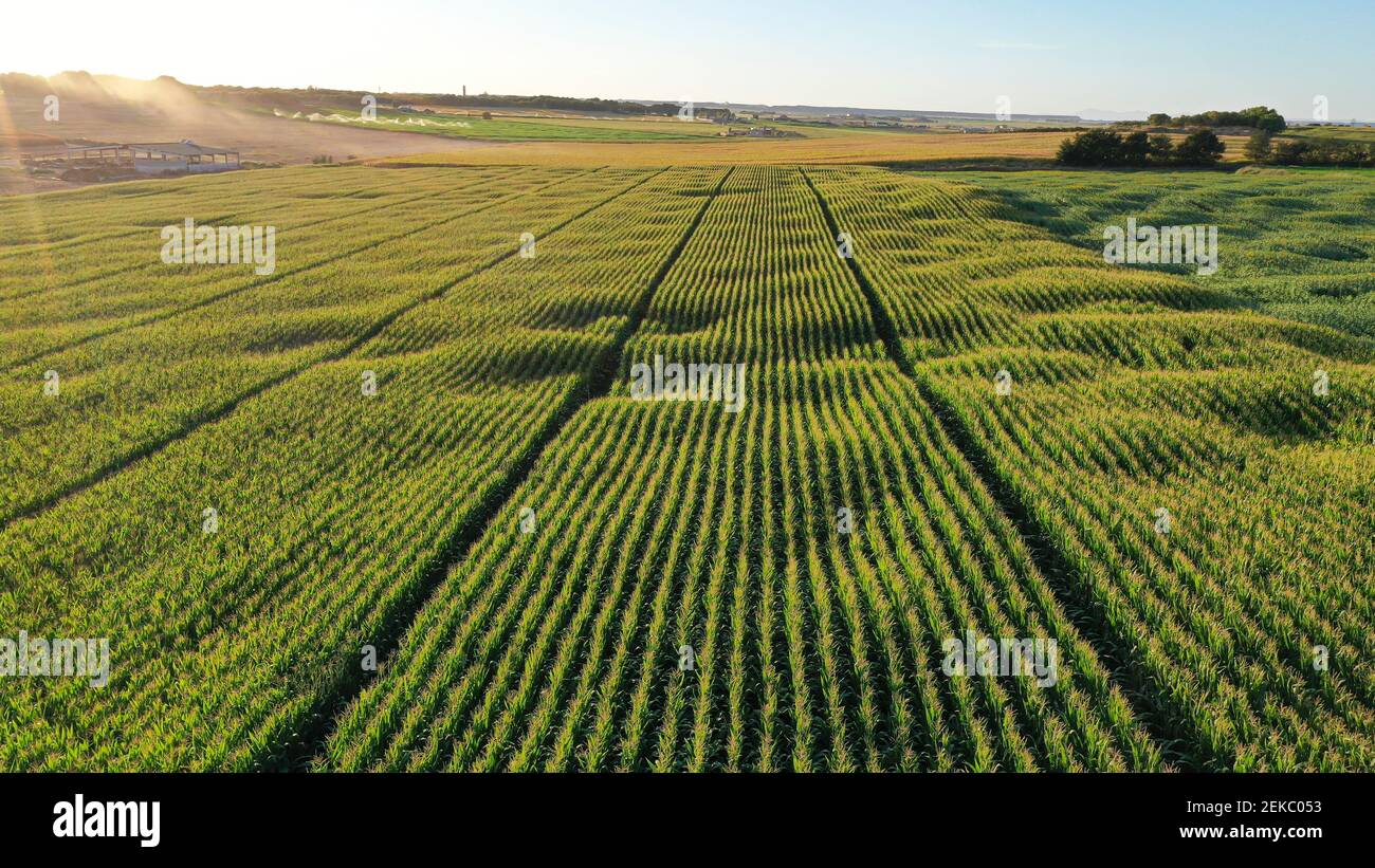 Aerial view sunset over field hi-res stock photography and images - Alamy