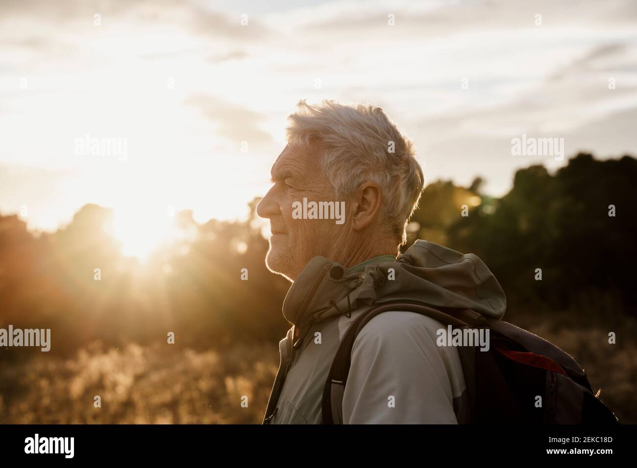 Warm grey color hi-res stock photography and images - Alamy