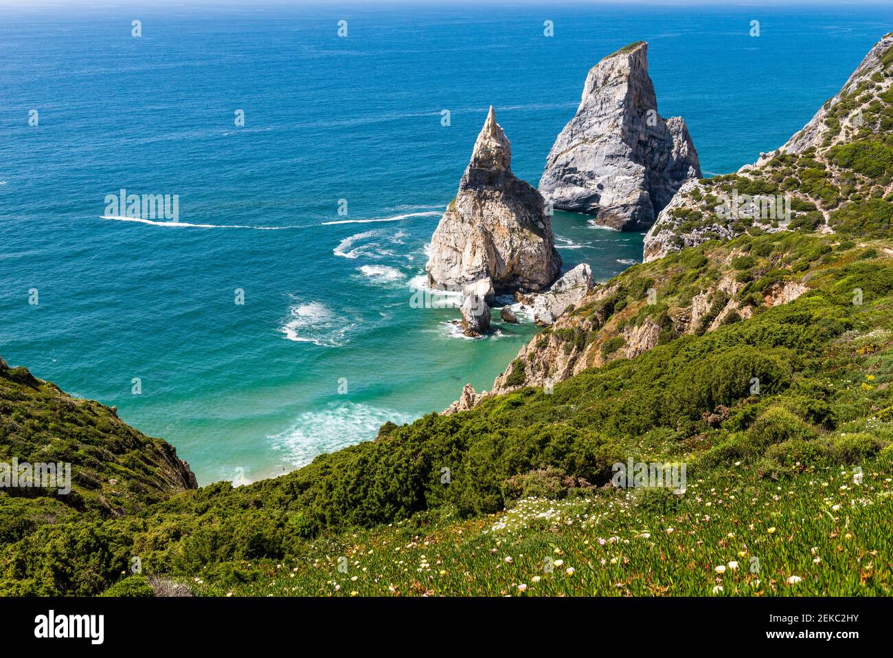 Green coast and stack rocks in sea Stock Photo - Alamy