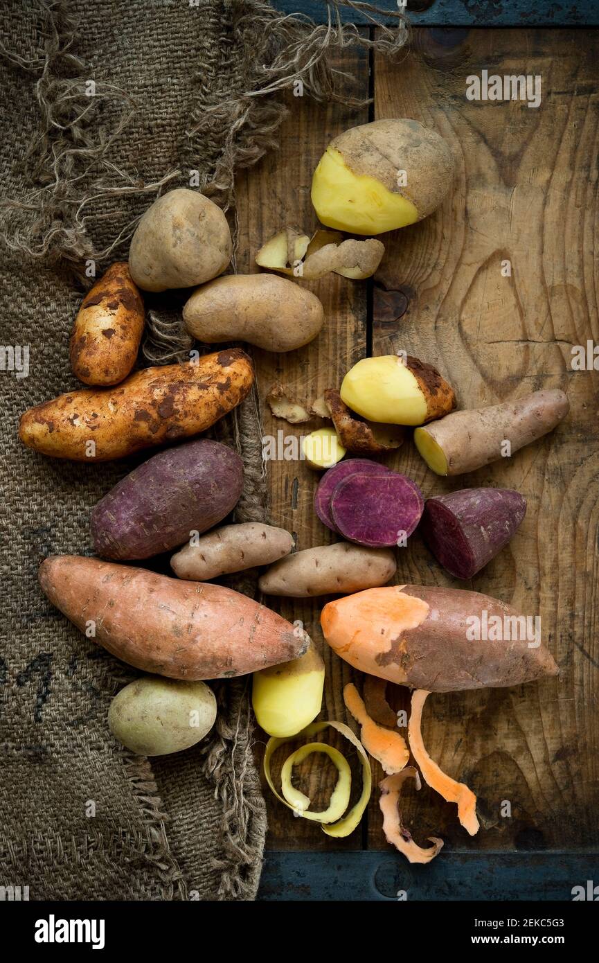 Different types of potatoes: Glorietta, purple sweet potato, Agria ...