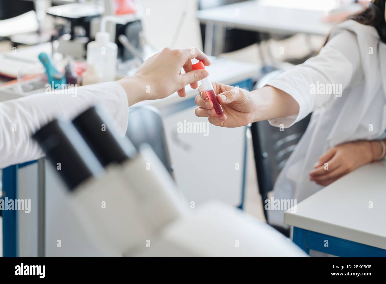Crop view of researchers handing over laboratory sample Stock Photo - Alamy