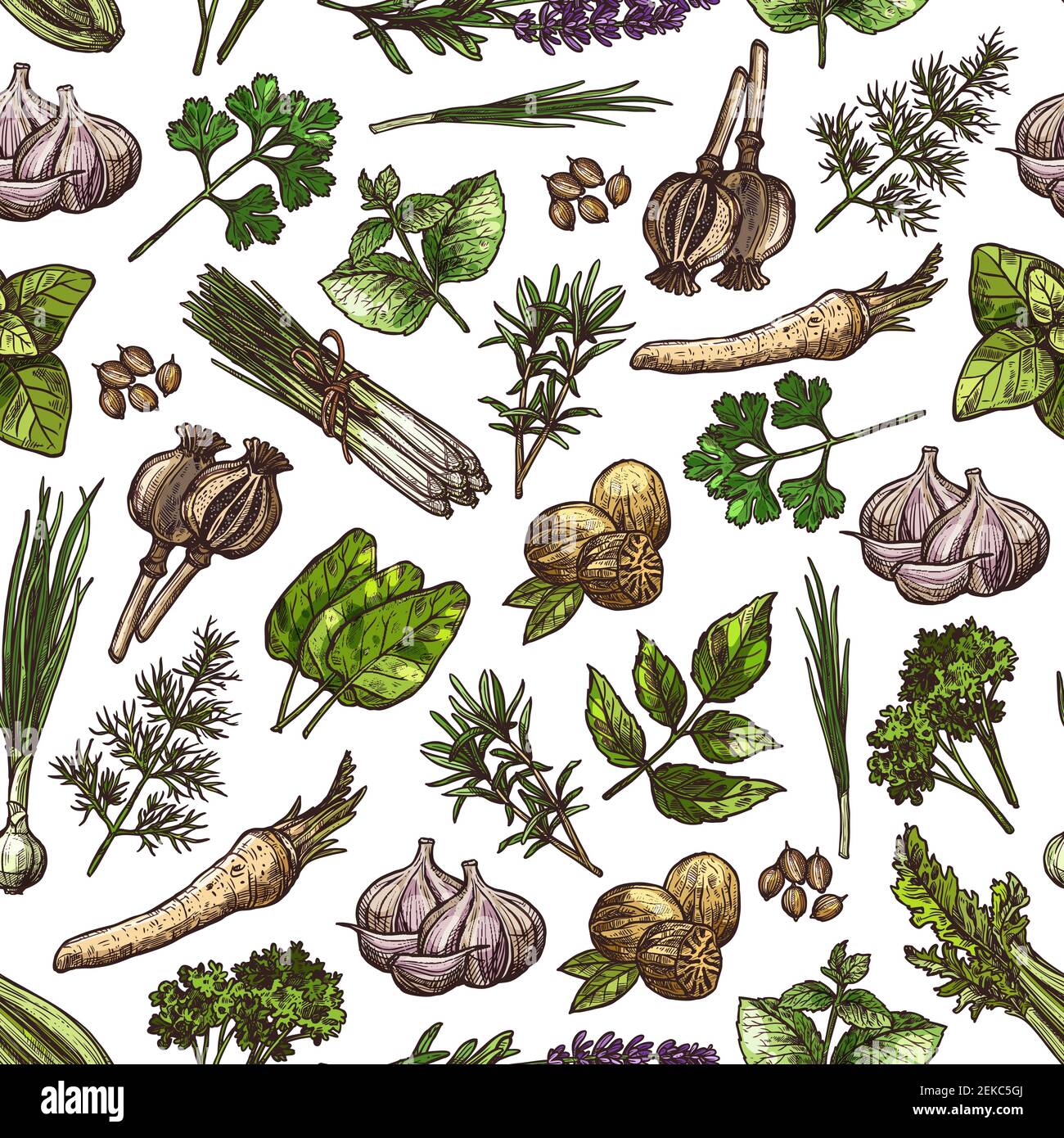 Thym flower Stock Vector Images - Alamy