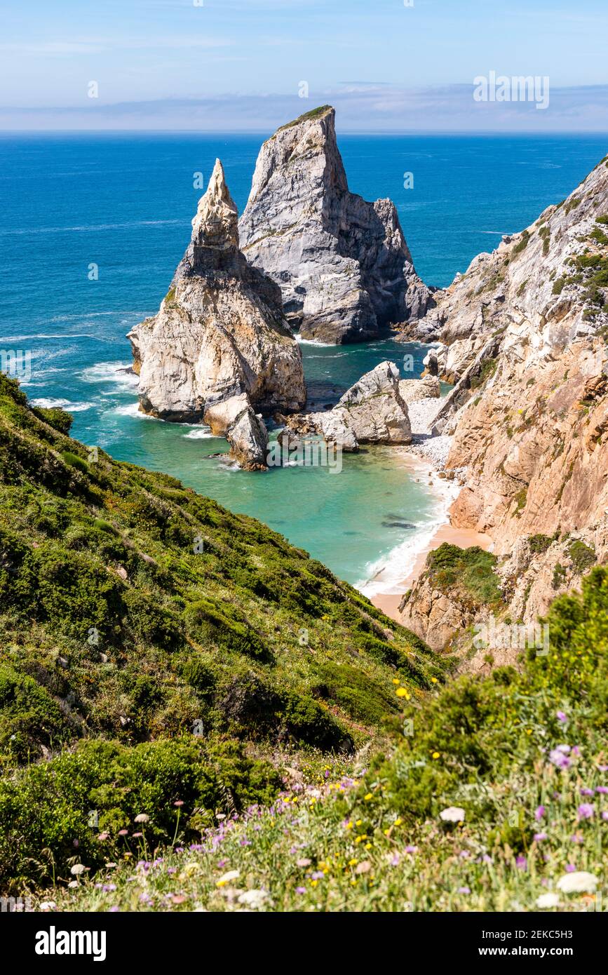 Rocky coast and stack rocks in sea Stock Photo - Alamy