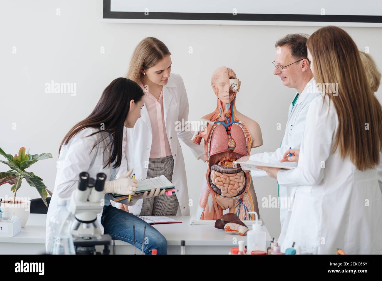 Students female anatomy hi-res stock photography and images - Alamy