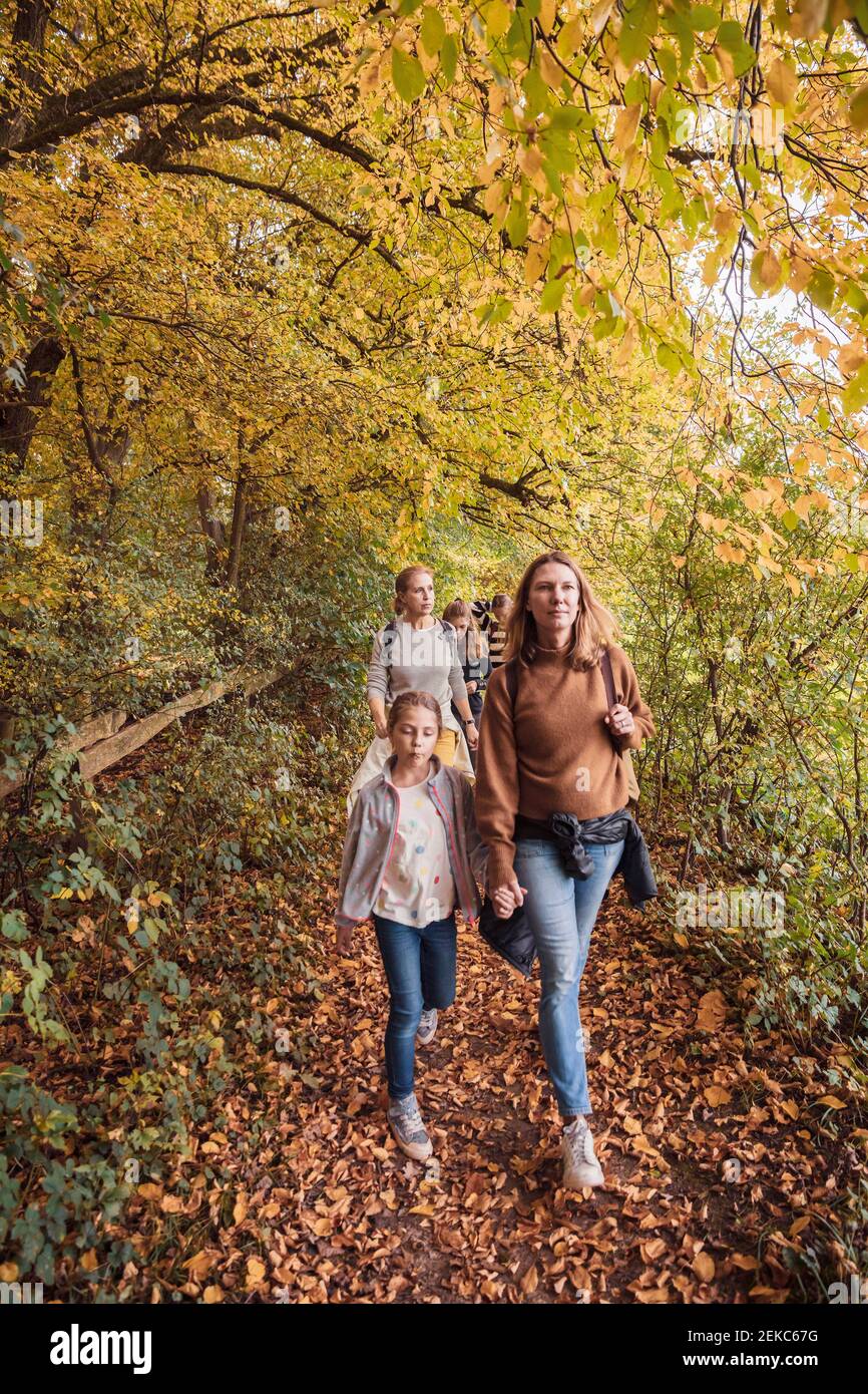Explorer walking while exploring forest during autumn Stock Photo - Alamy
