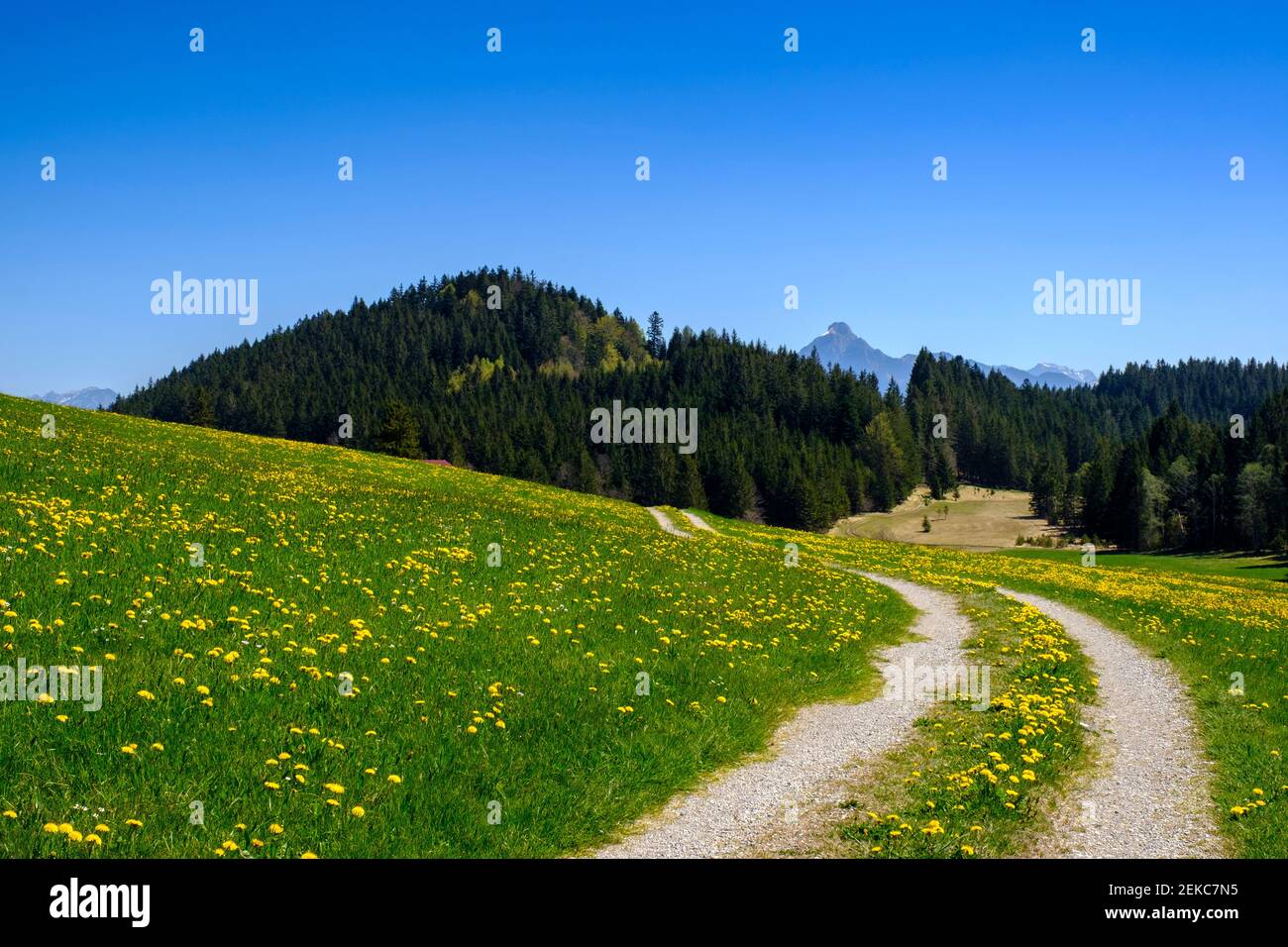 Beautiful pathway on mountain against clear sky Stock Photo - Alamy