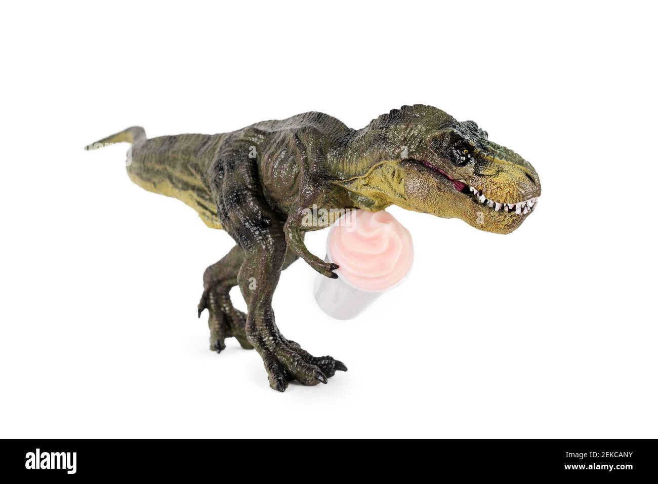 Tyrannosaurus rex plastic model hi-res stock photography and images - Alamy