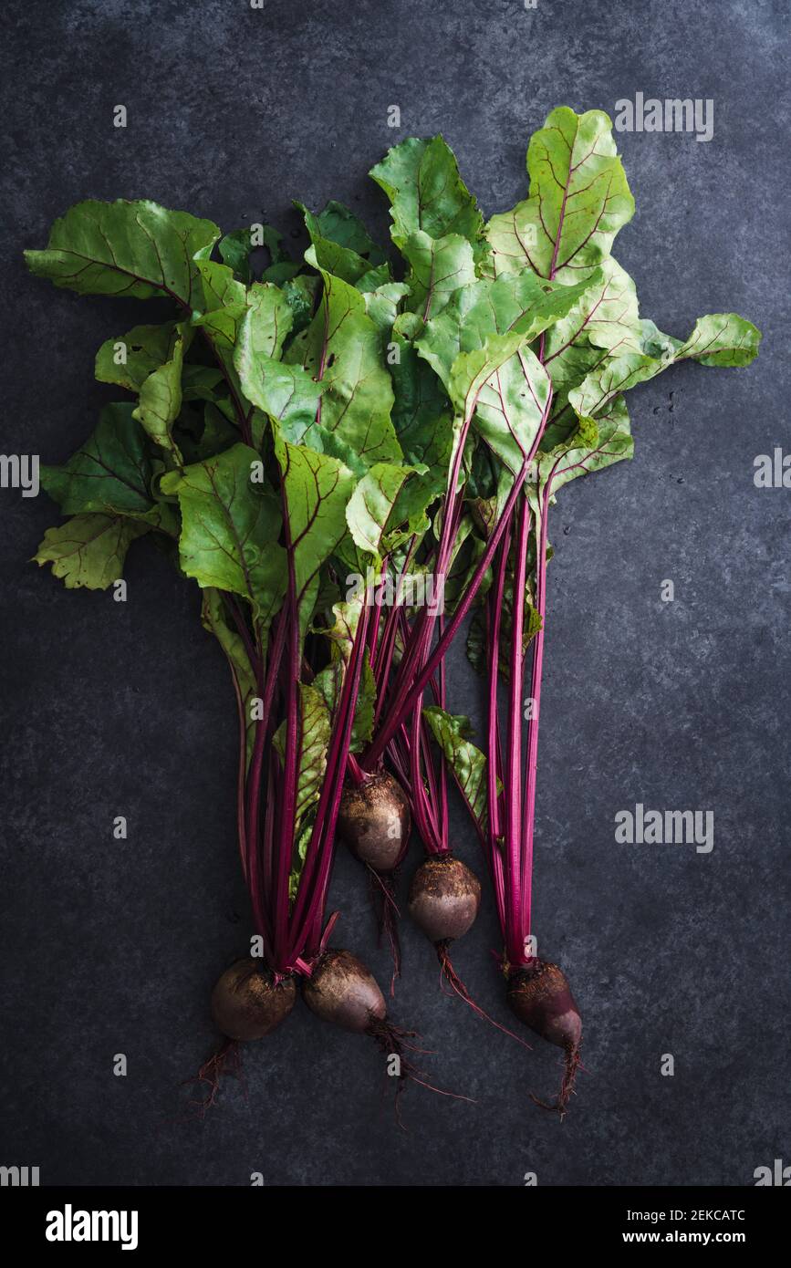 Beetroot picked hi-res stock photography and images - Alamy