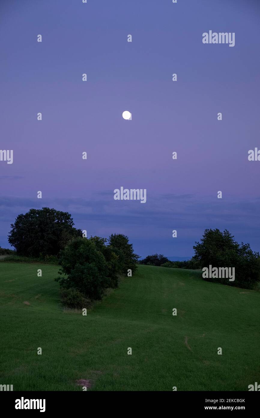 Empty grass field hi-res stock photography and images - Alamy