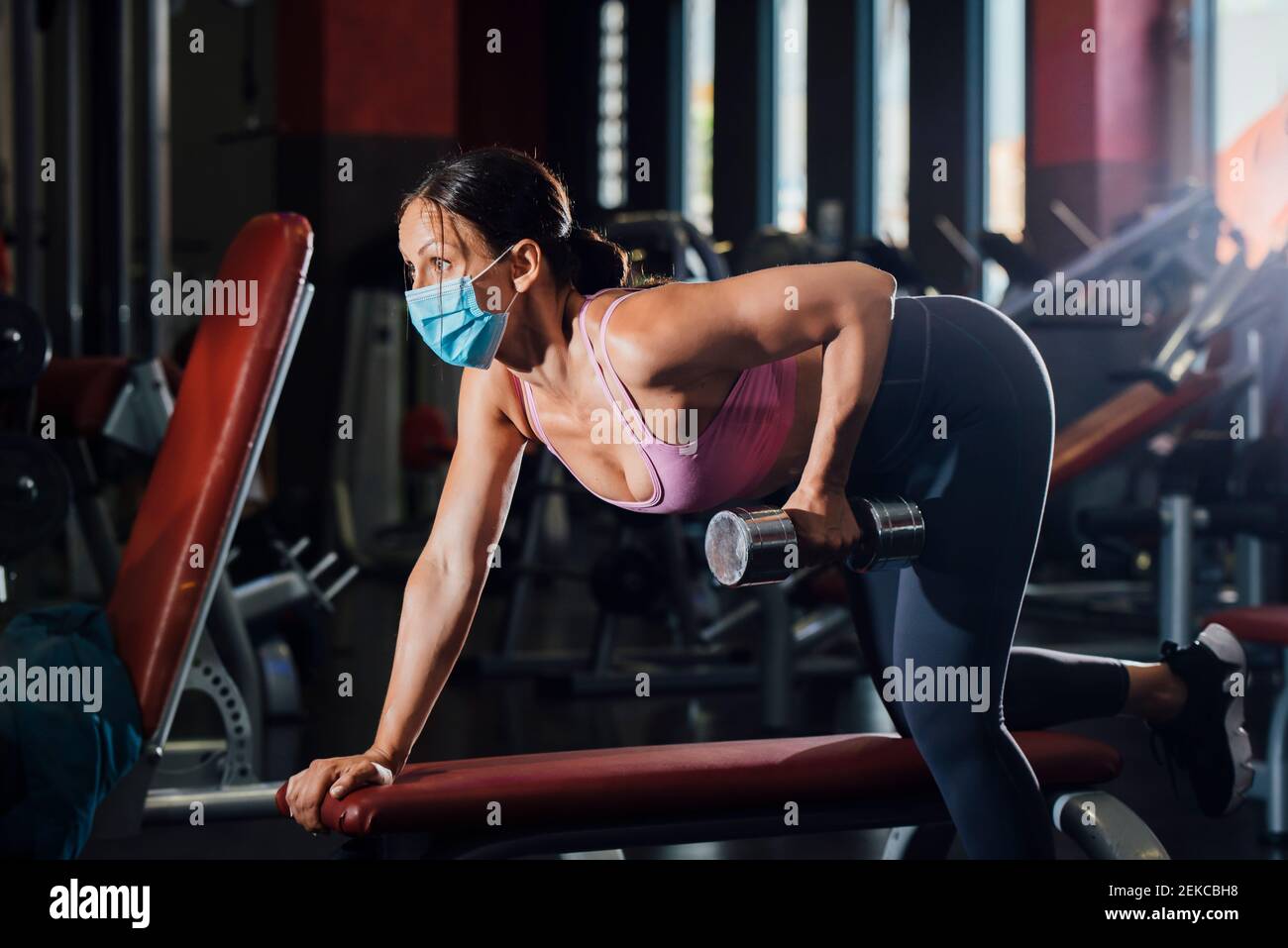 Dumbbell Row Muscles Worked