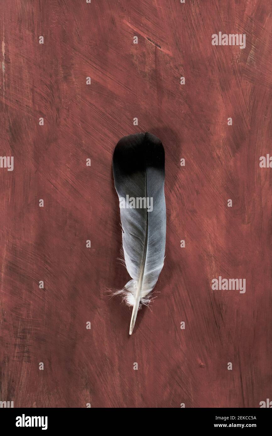 Single surface hi-res stock photography and images - Alamy