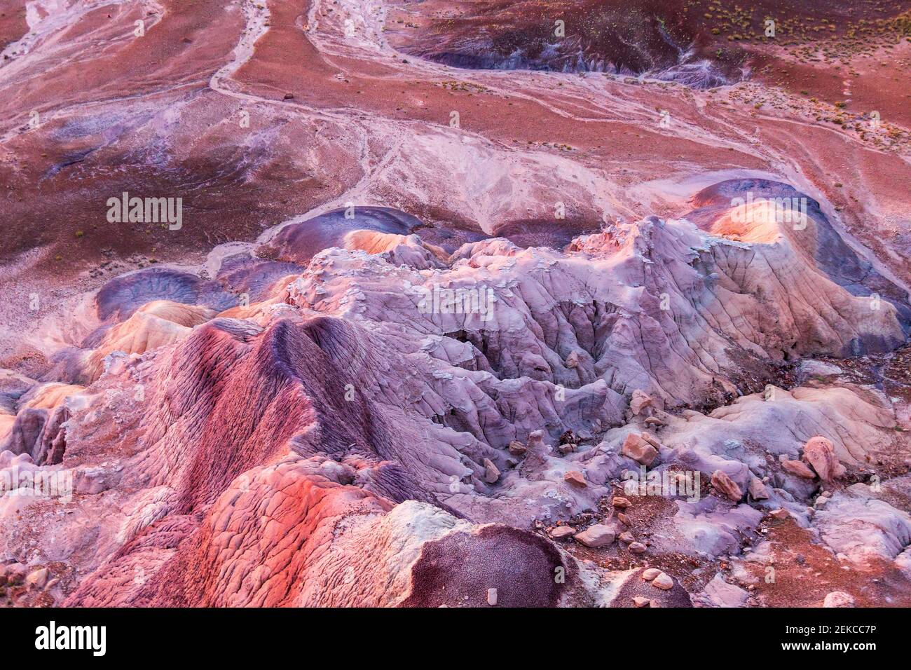 Petrified national forest rock hi-res stock photography and images - Alamy