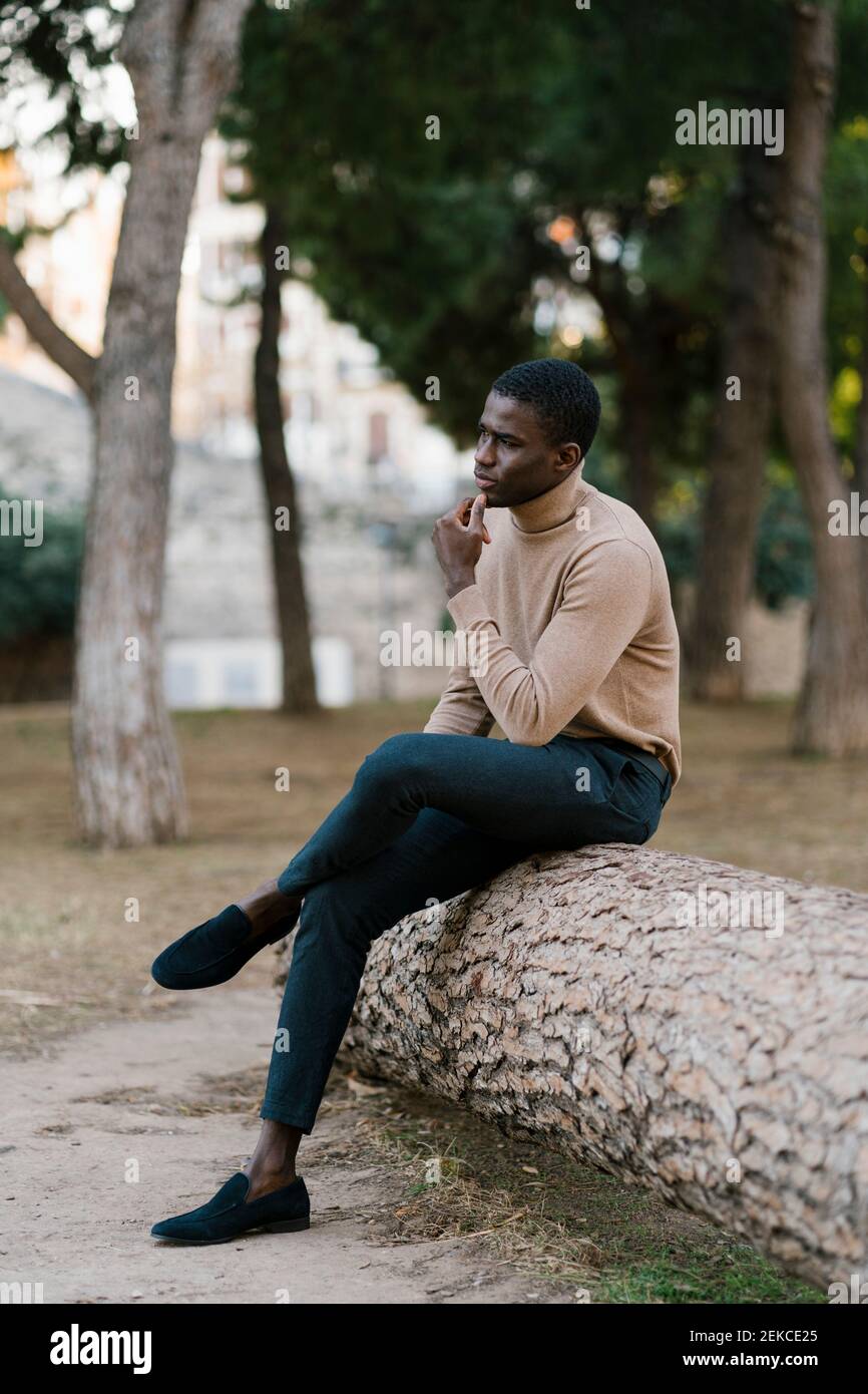 Crossed fallen tree hi-res stock photography and images - Alamy